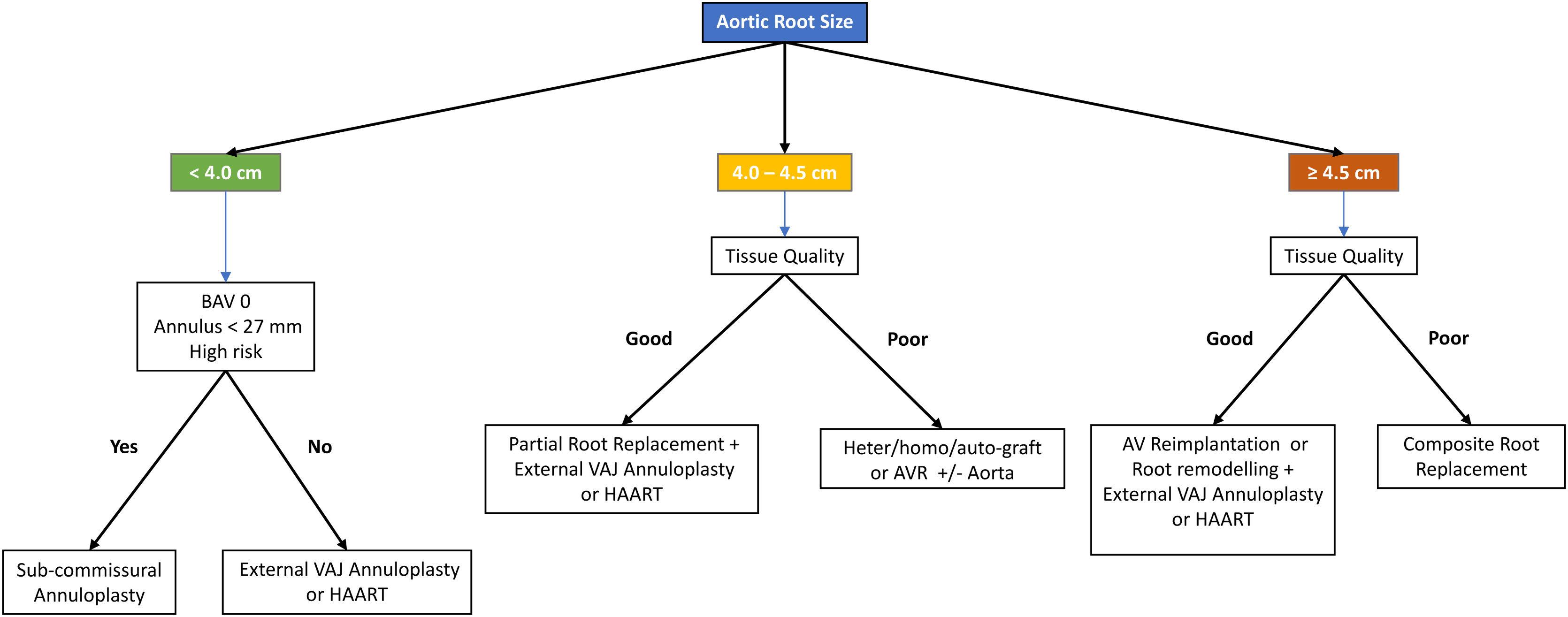 BAV repair algorithm: 20 years experience | Cirugía Cardiovascular