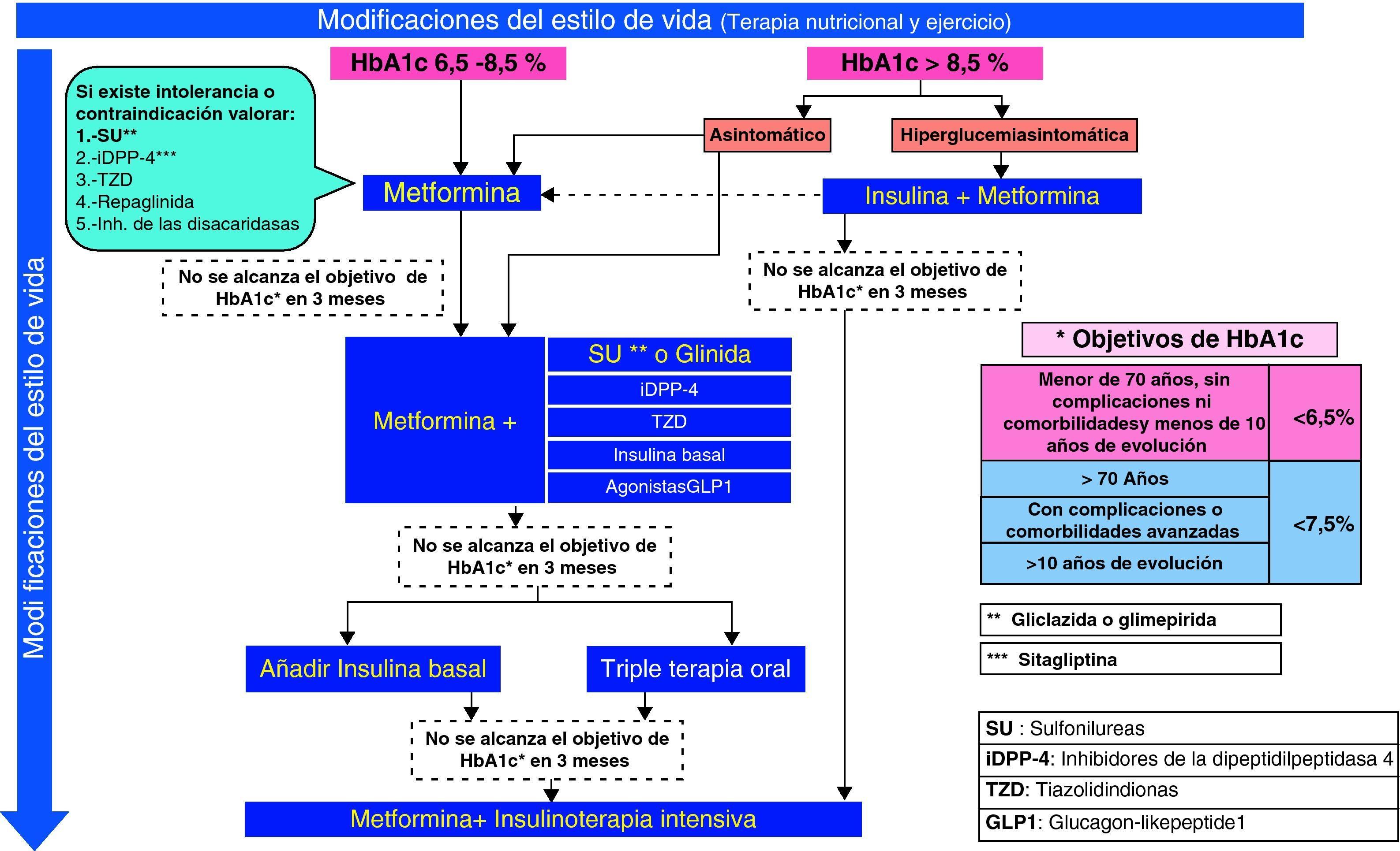 Recomendaciones para el tratamiento farmacológico de la hiperglucemia ...