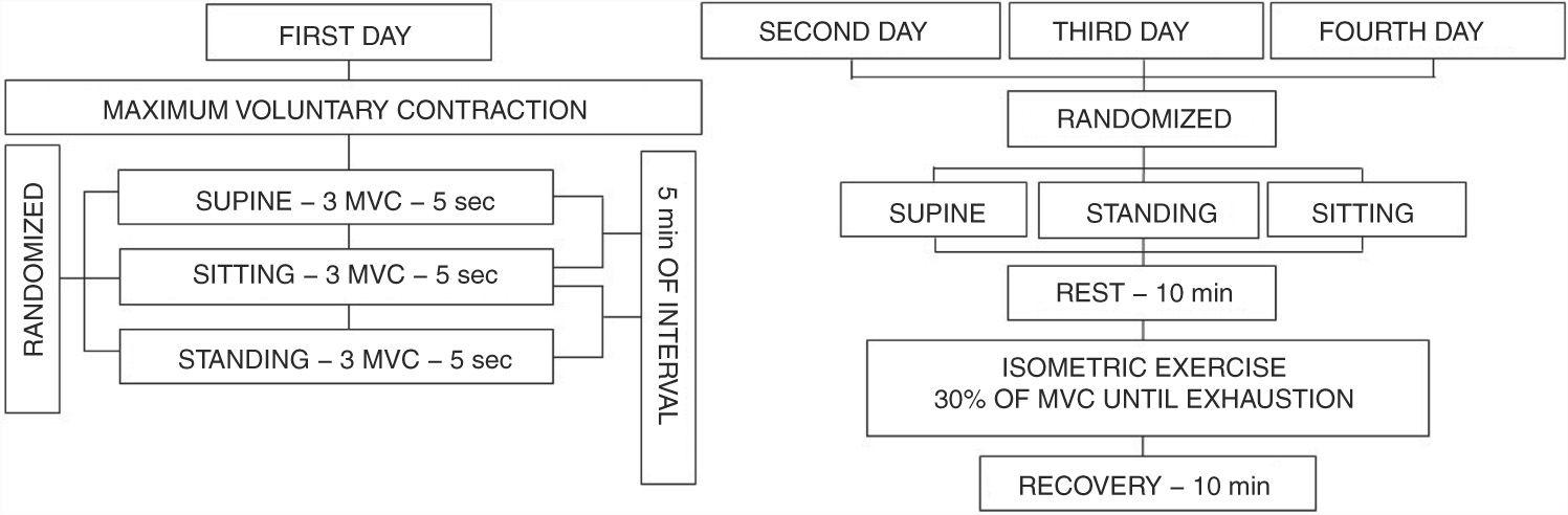 Cardiovascular responses to low-intensity isometric handgrip exercise ...