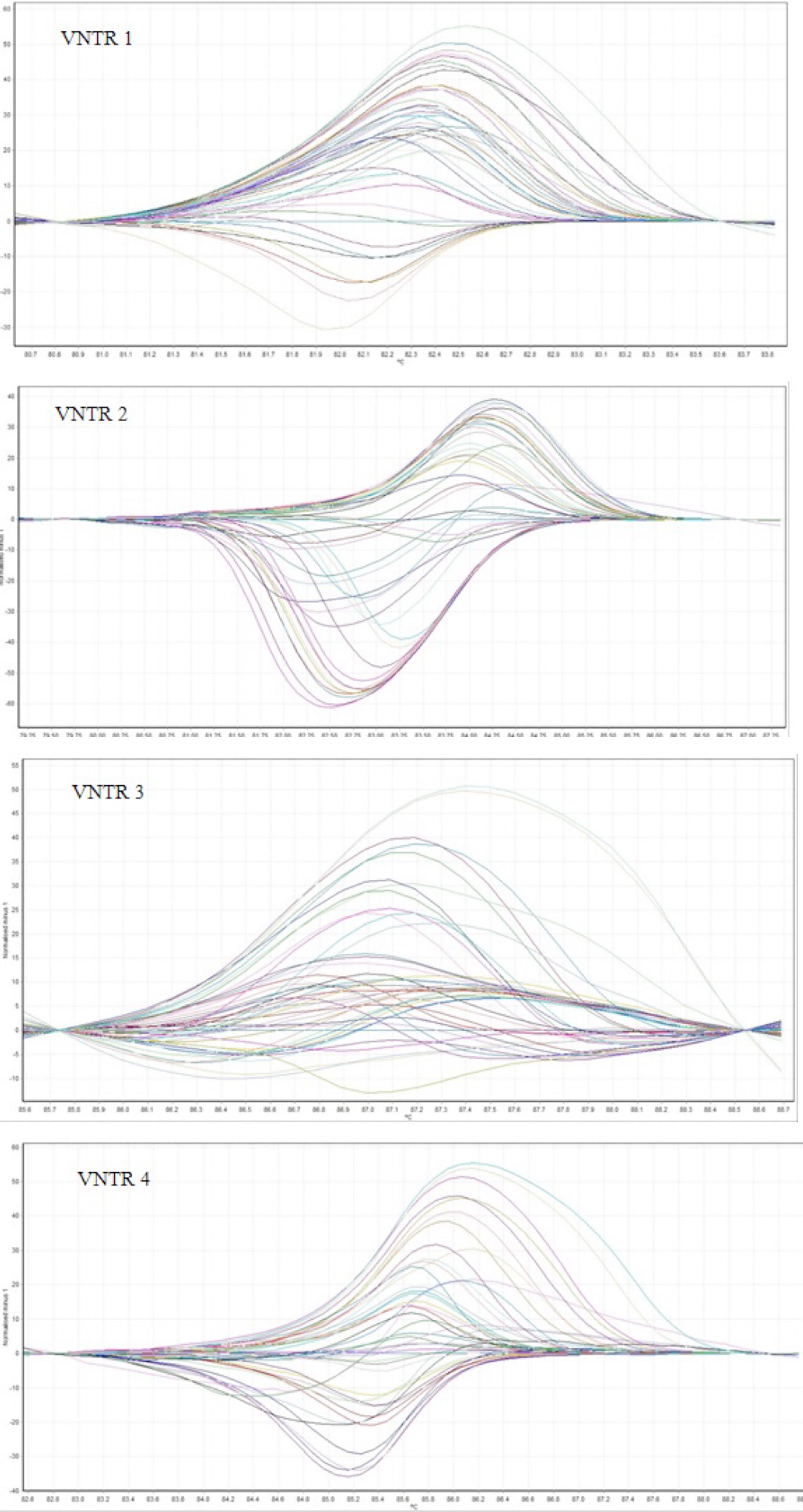 Genotyping of Listeria monocytogenes isolates by high-resolution ...