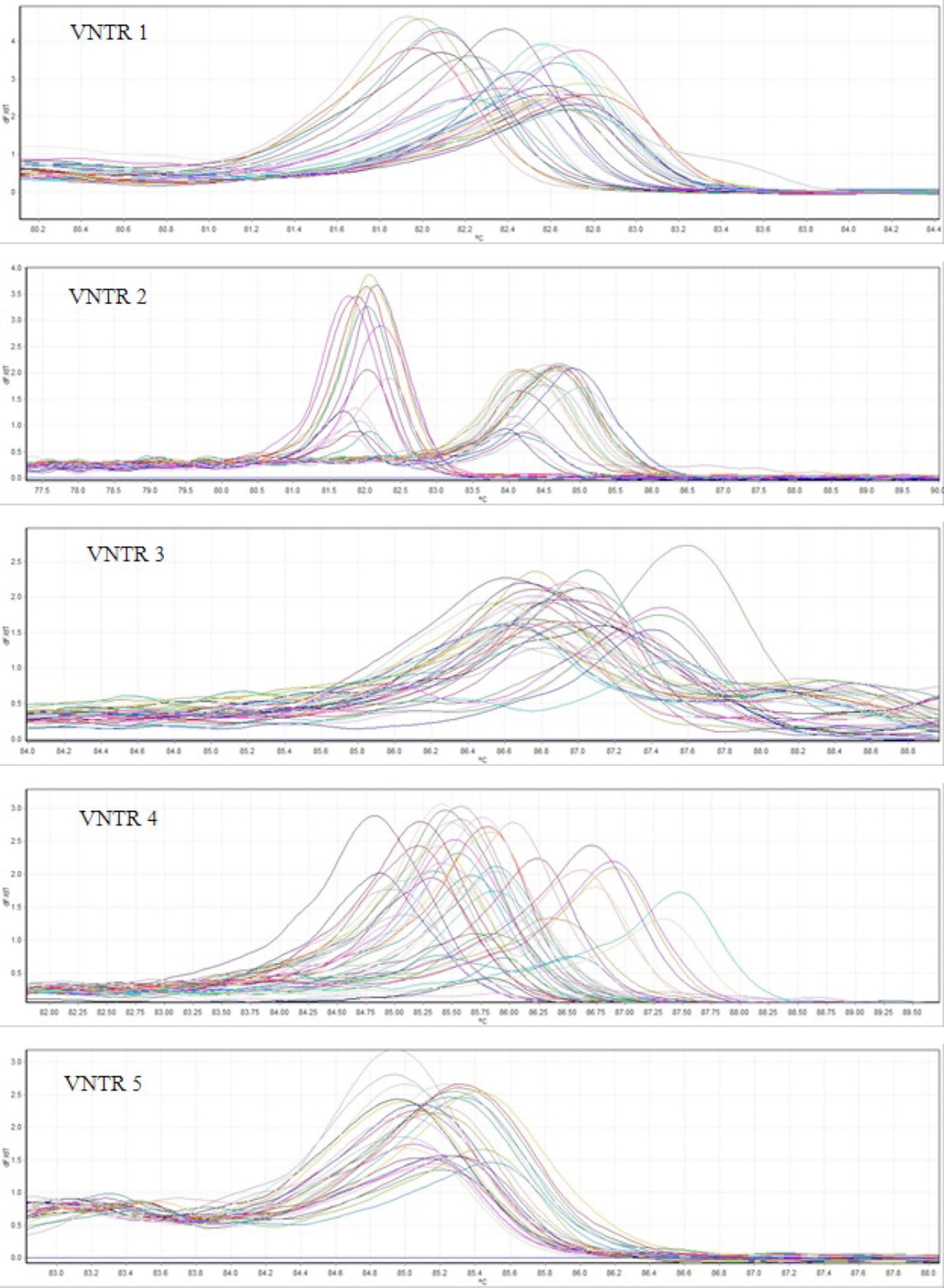 Genotyping of Listeria monocytogenes isolates by high-resolution ...