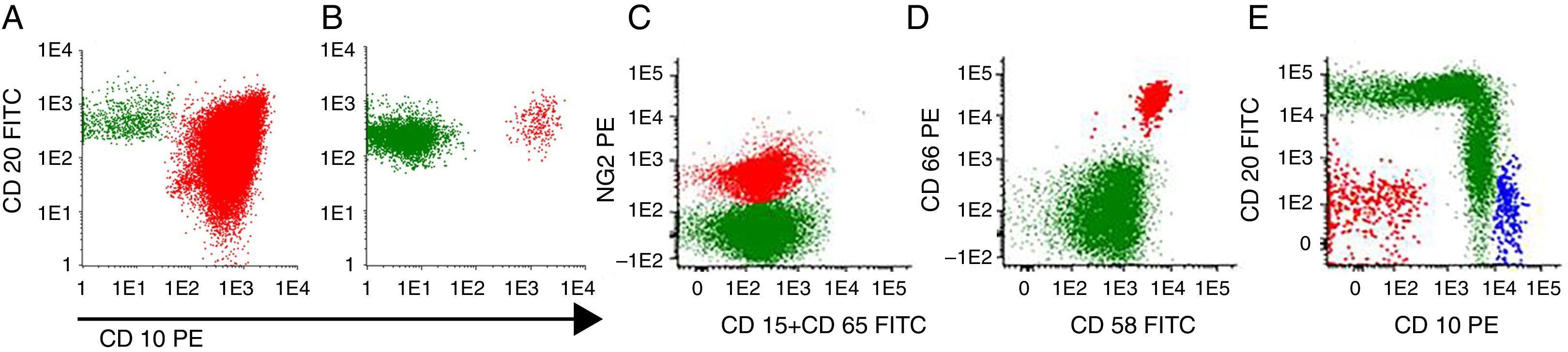 Proposal for the standardization of flow cytometry protocols to detect ...