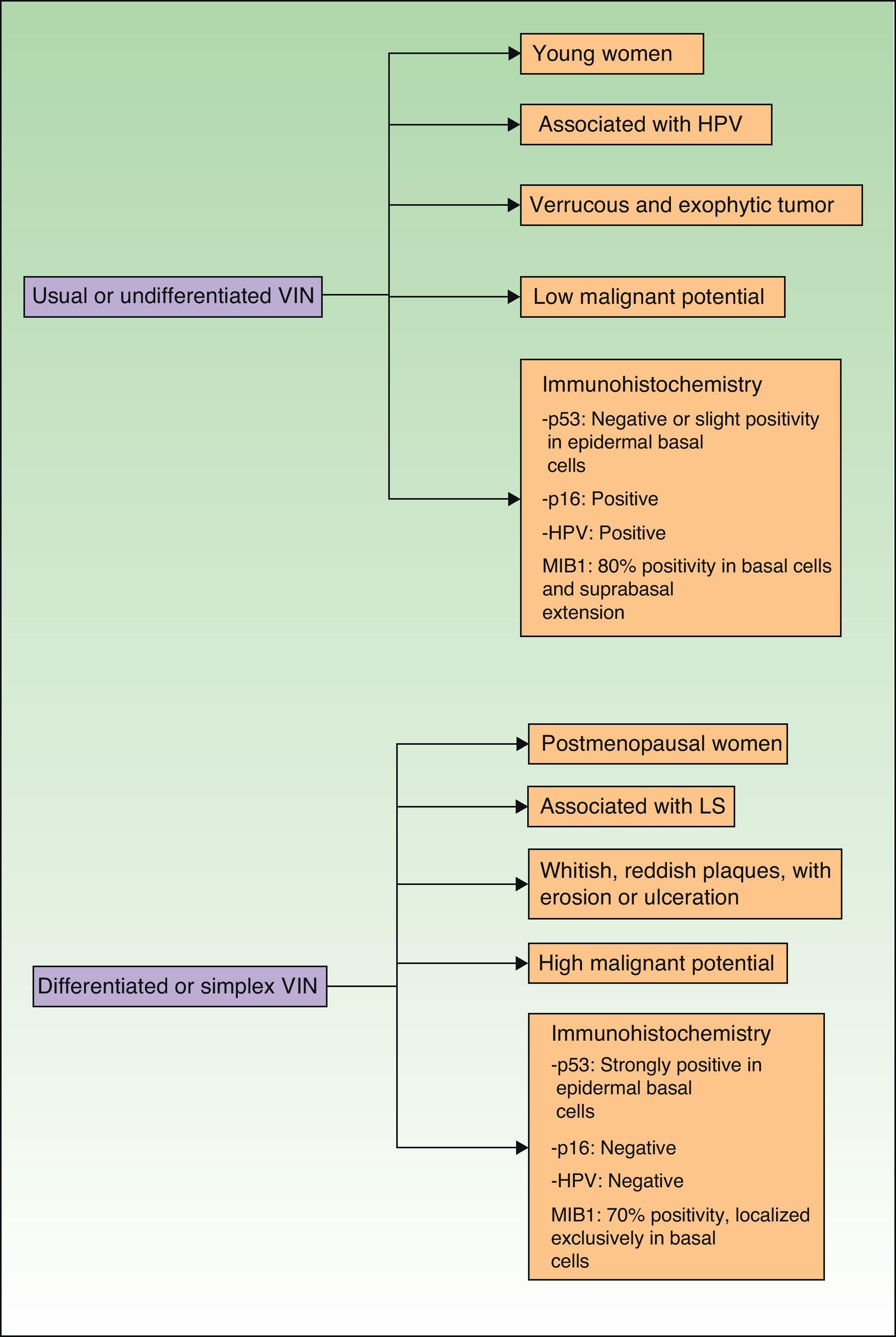 Lichen Sclerosus and Squamous Cell Carcinoma | Actas Dermo-Sifiliográficas