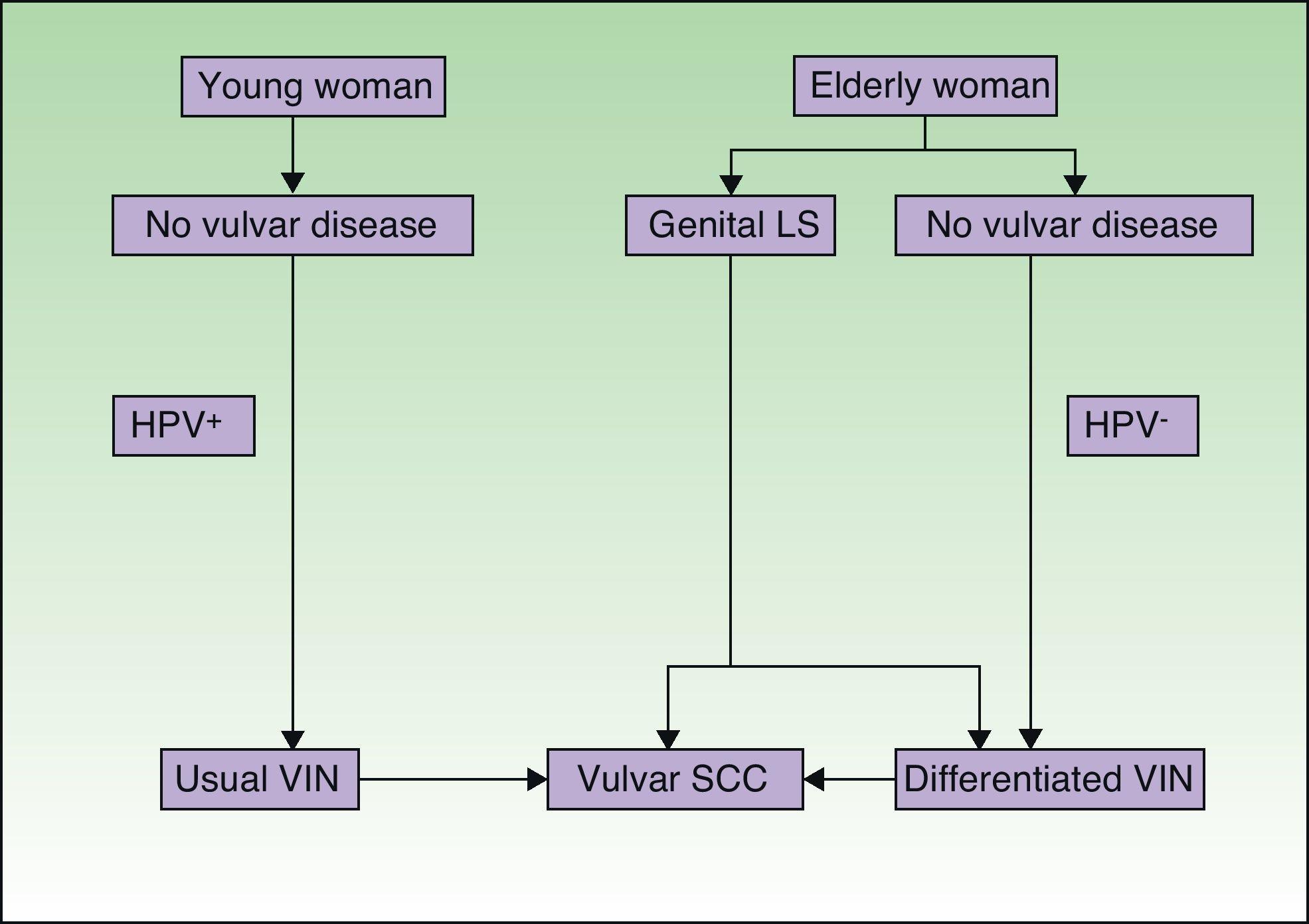 Lichen Sclerosus and Squamous Cell Carcinoma | Actas Dermo-Sifiliográficas