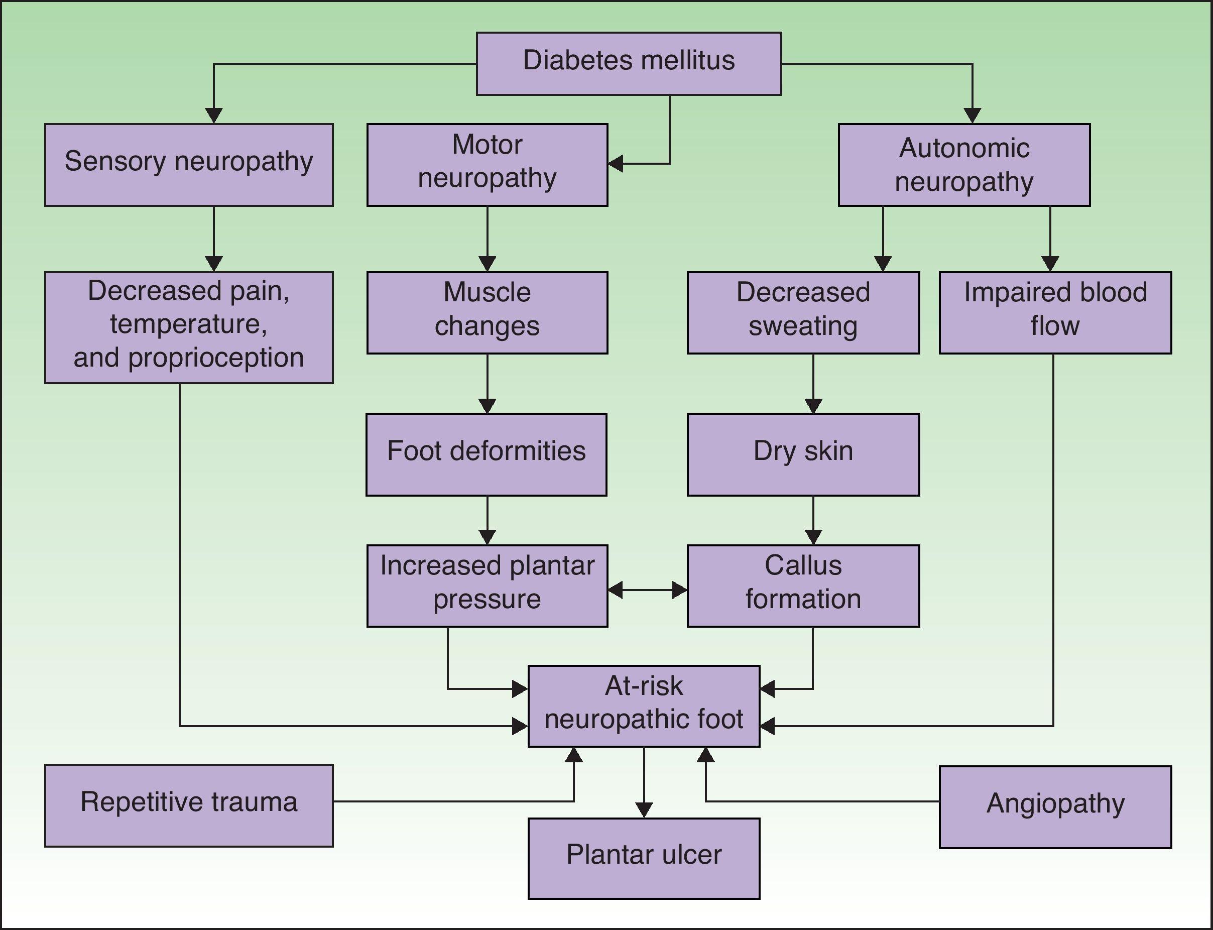 Diabetic Neuropathy Pathophysiology