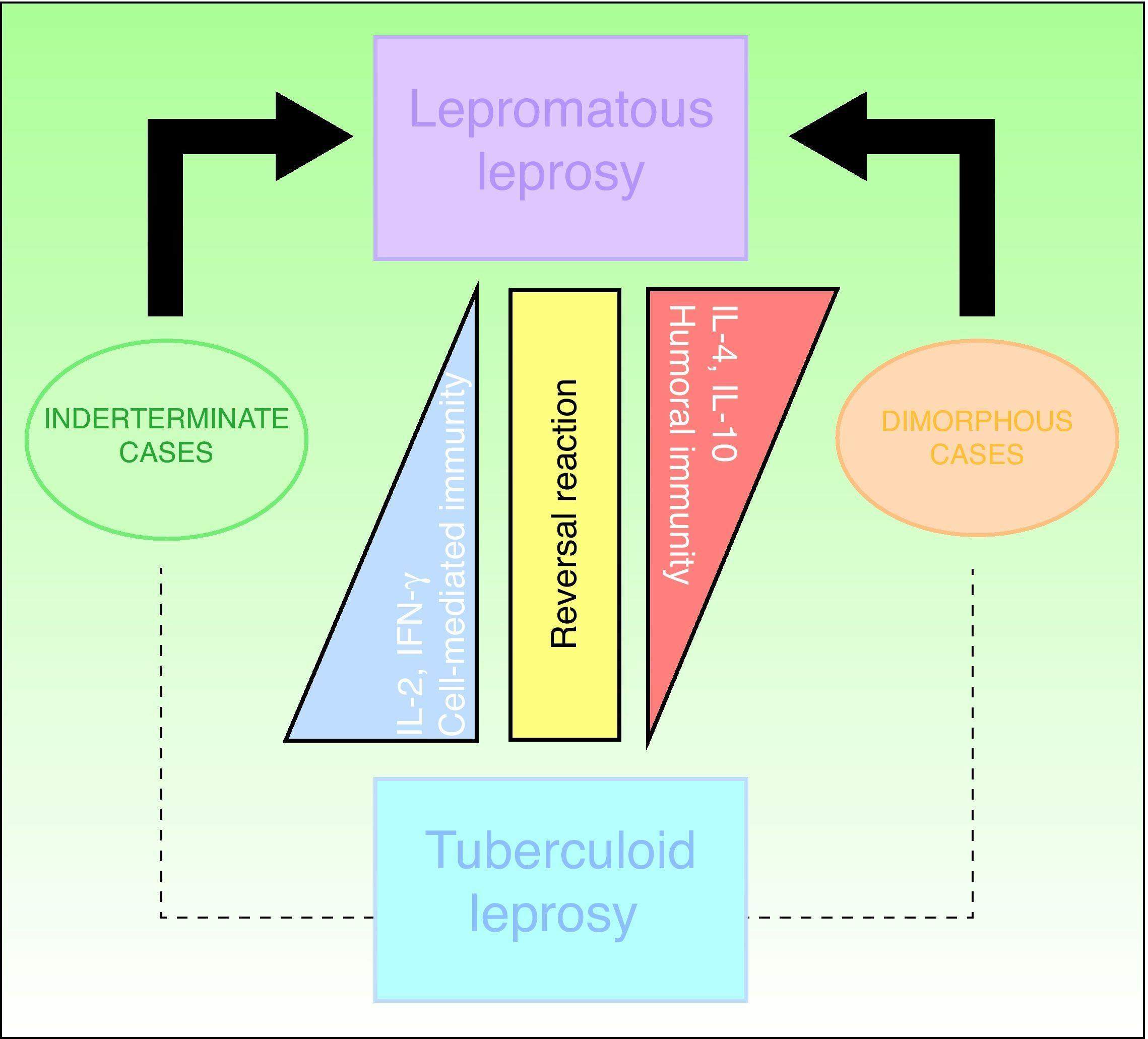 Tuberculoid Leprosy Symptoms