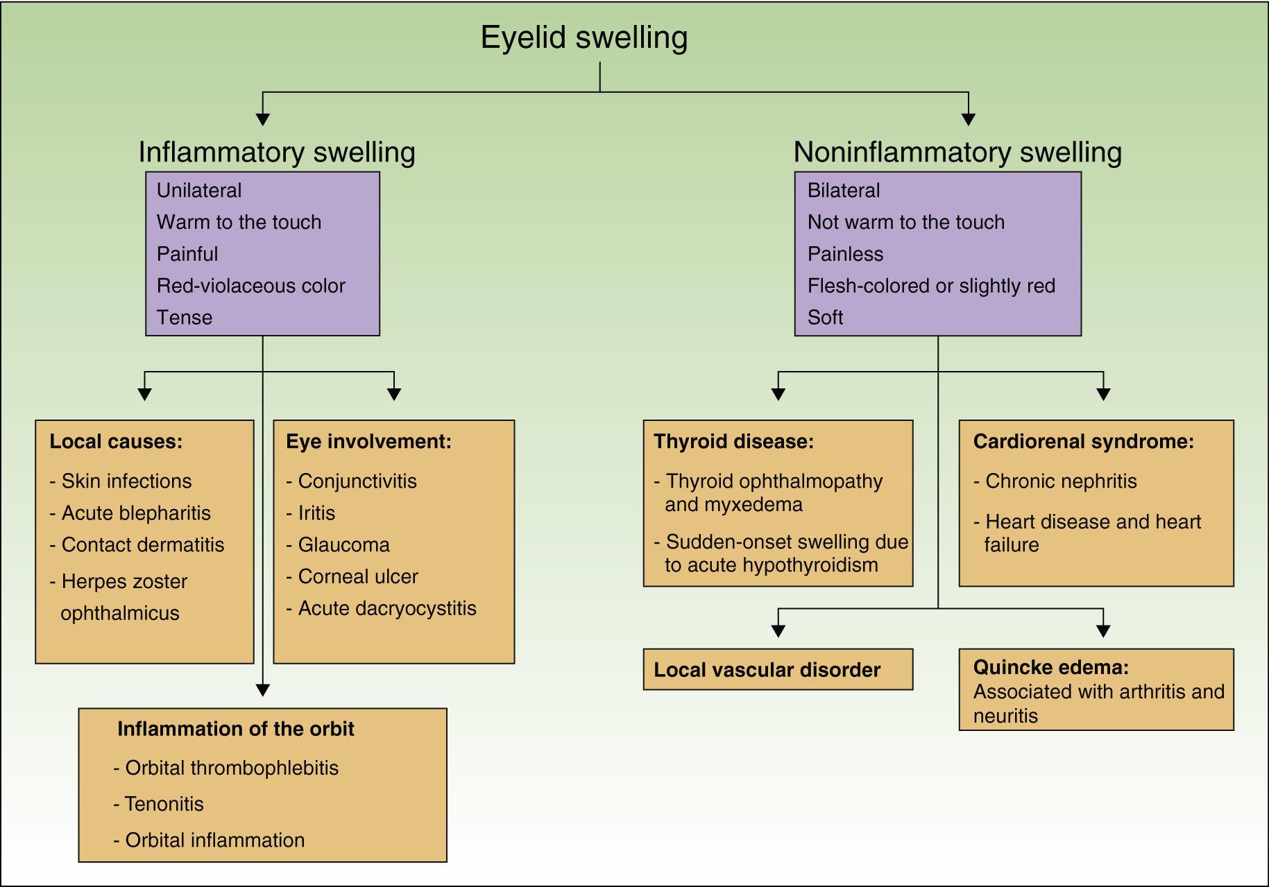 Bilateral Eyelid Swelling Associated With Acute Hypothyroidism | Actas ...