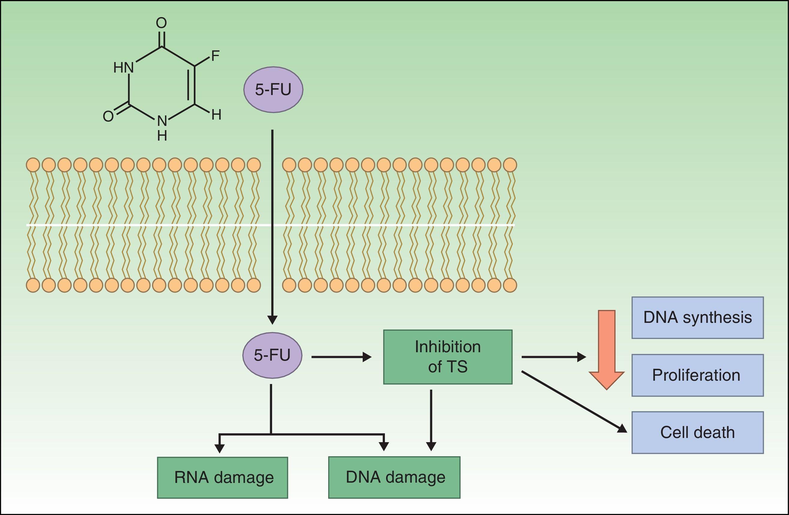 Resistance of Nonmelanoma Skin Cancer to Nonsurgical Treatments. Part I ...