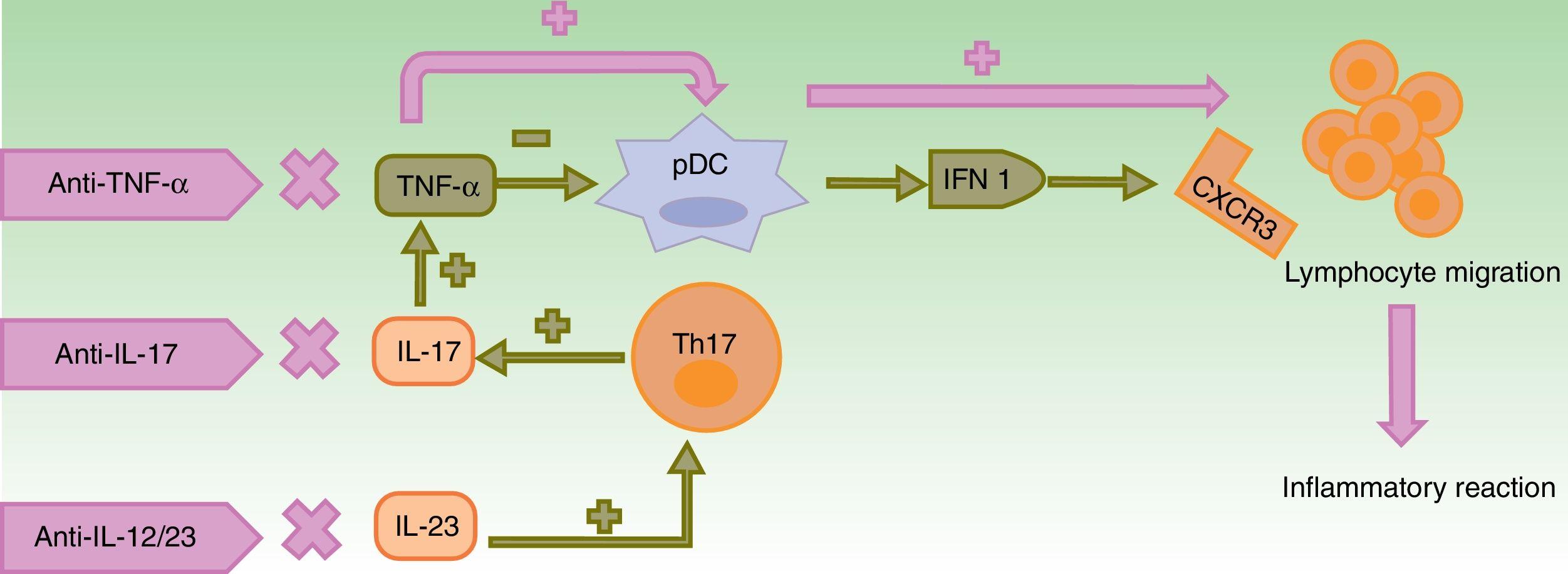 Paradoxical Reactions to Biologic Therapy in Psoriasis: A Review of the ...