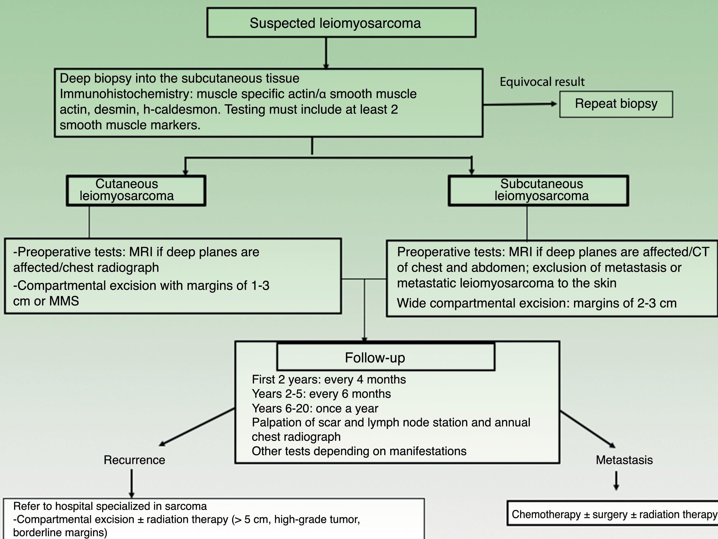 Leiomyosarcoma and Pleomorphic Dermal Sarcoma: Guidelines for Diagnosis ...