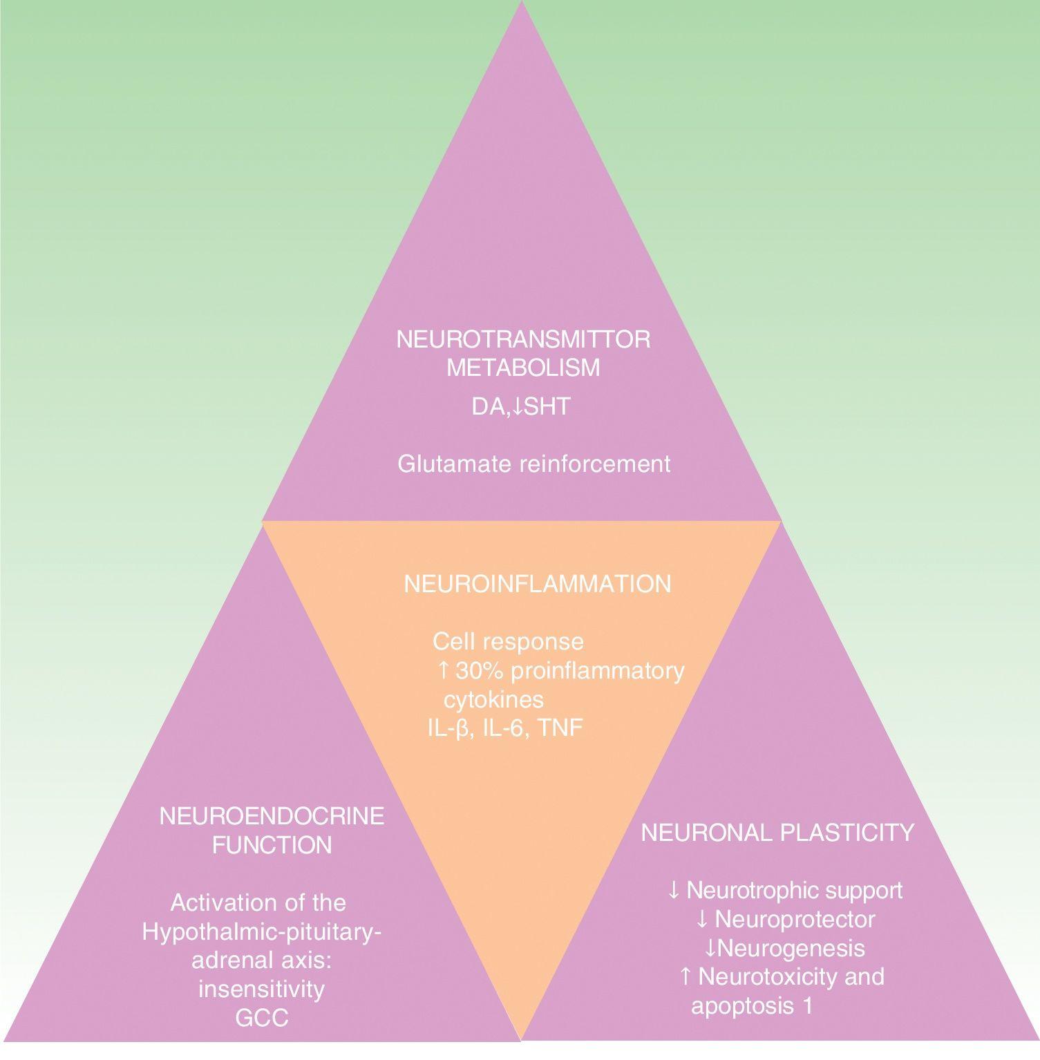 Psoriasis and Depression: The Role of Inflammation | Actas Dermo ...