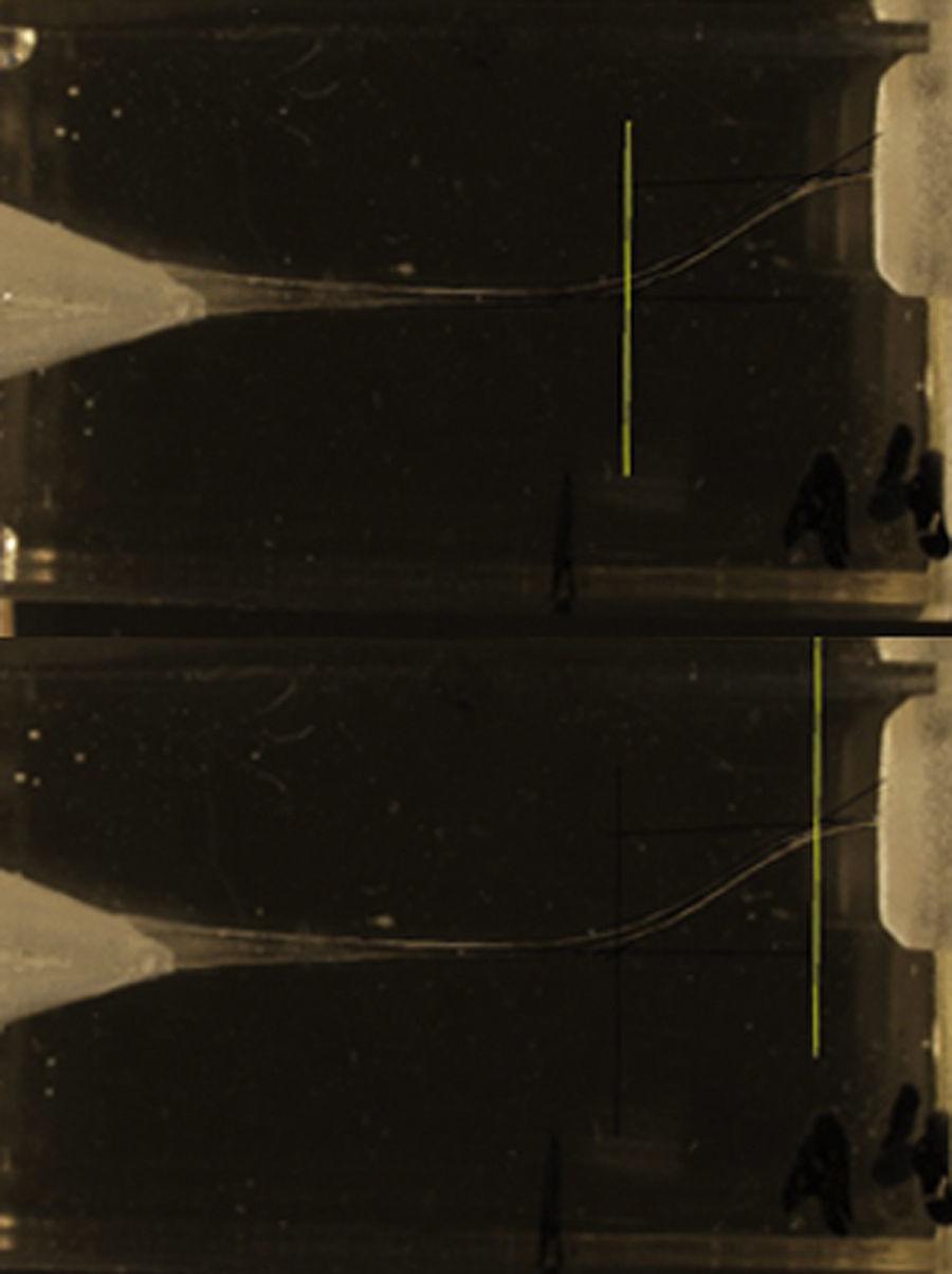 Comparative analysis of simulated root canals shaping, using ProTaper ...