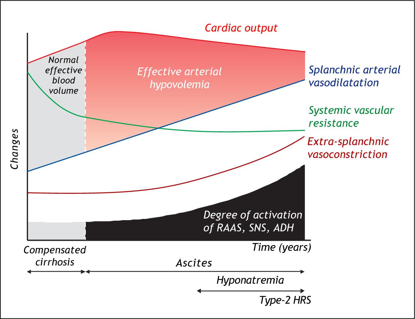 Pathophysiological basis of albumin use in cirrhosis | Annals of Hepatology