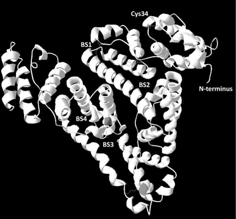Pathophysiological basis of albumin use in cirrhosis | Annals of Hepatology