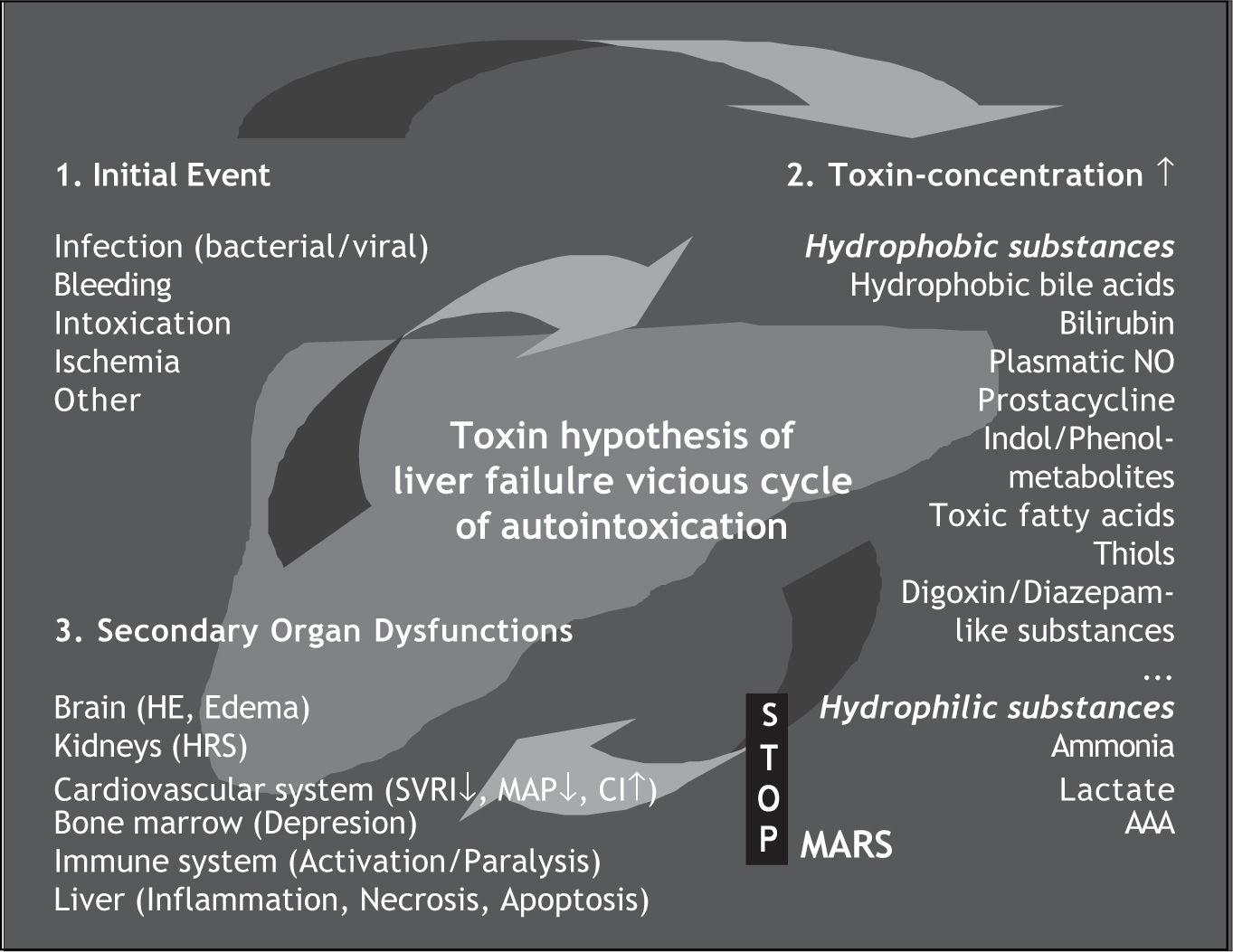 Extracorporeal liver support-albumin dialysis with the Molecular ...