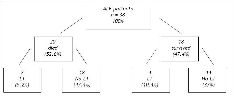 The molecular adsorbent recirculating system as a liver support system ...