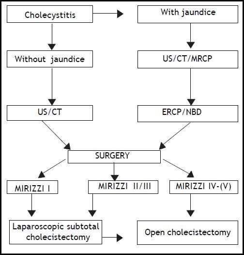 Minimally invasive treatment of Mirizzi’s syndrome: is there a safe way ...