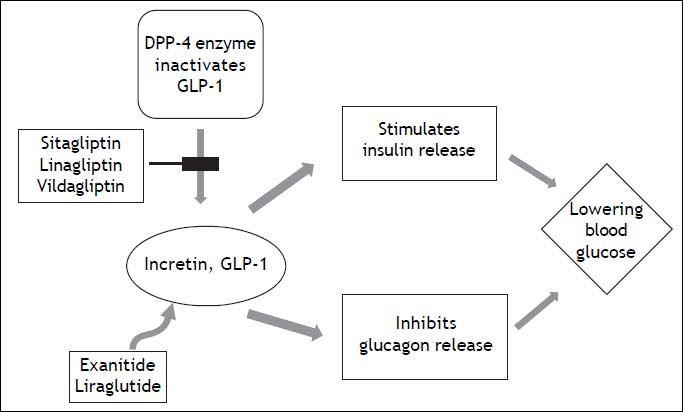 The treatment of diabetes mellitus of patients with chronic liver ...