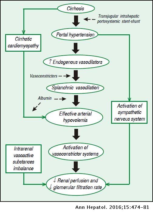Hepatorenal Syndrome Current Concepts Related To Diagnosis And