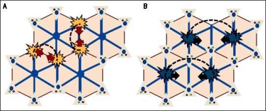 Fontan-Associated Liver Disease: A Review | Annals of Hepatology