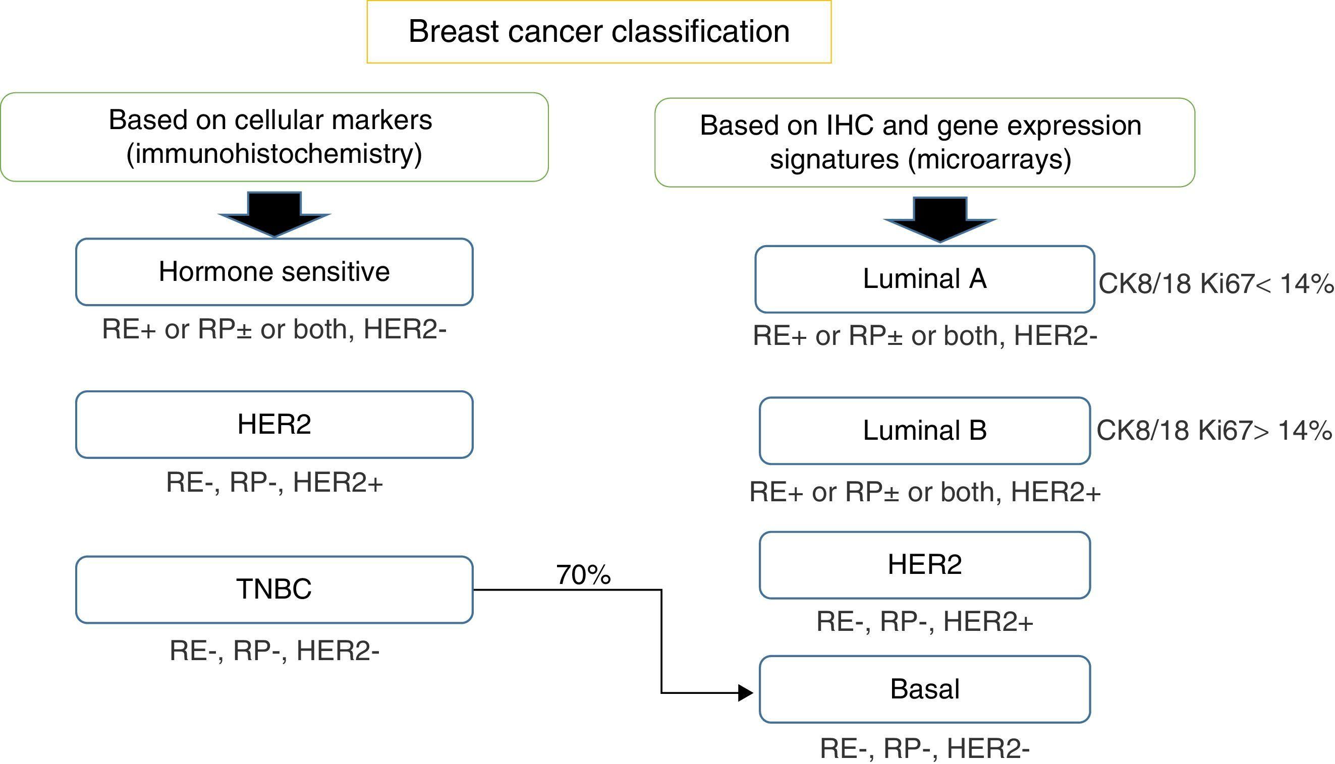 Triple negative breast cancer: Deciphering the biology and ...