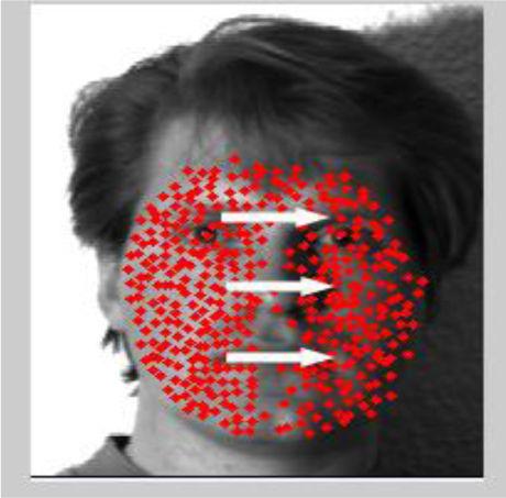 Robust Face Recognition Technique under Varying Illumination | Journal ...