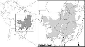 Tracking climatically suitable areas for an endemic Cerrado snake under ...