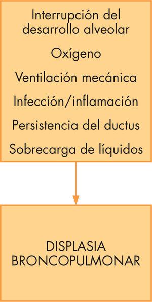 El prematuro con enfermedad pulmonar crónica/displasia broncopulmonar ...