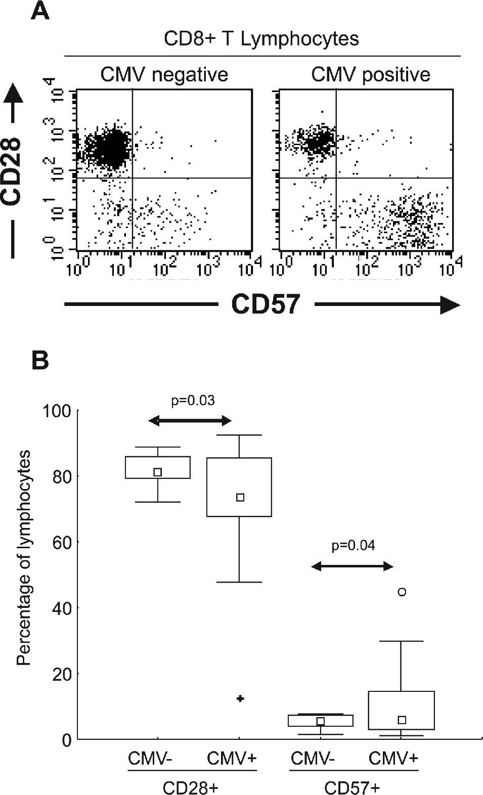 Impact of Cytomegalovirus and Grafts versus Host Disease on the ...