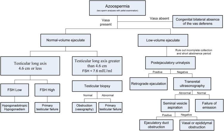 The epidemiology and etiology of azoospermia | Clinics