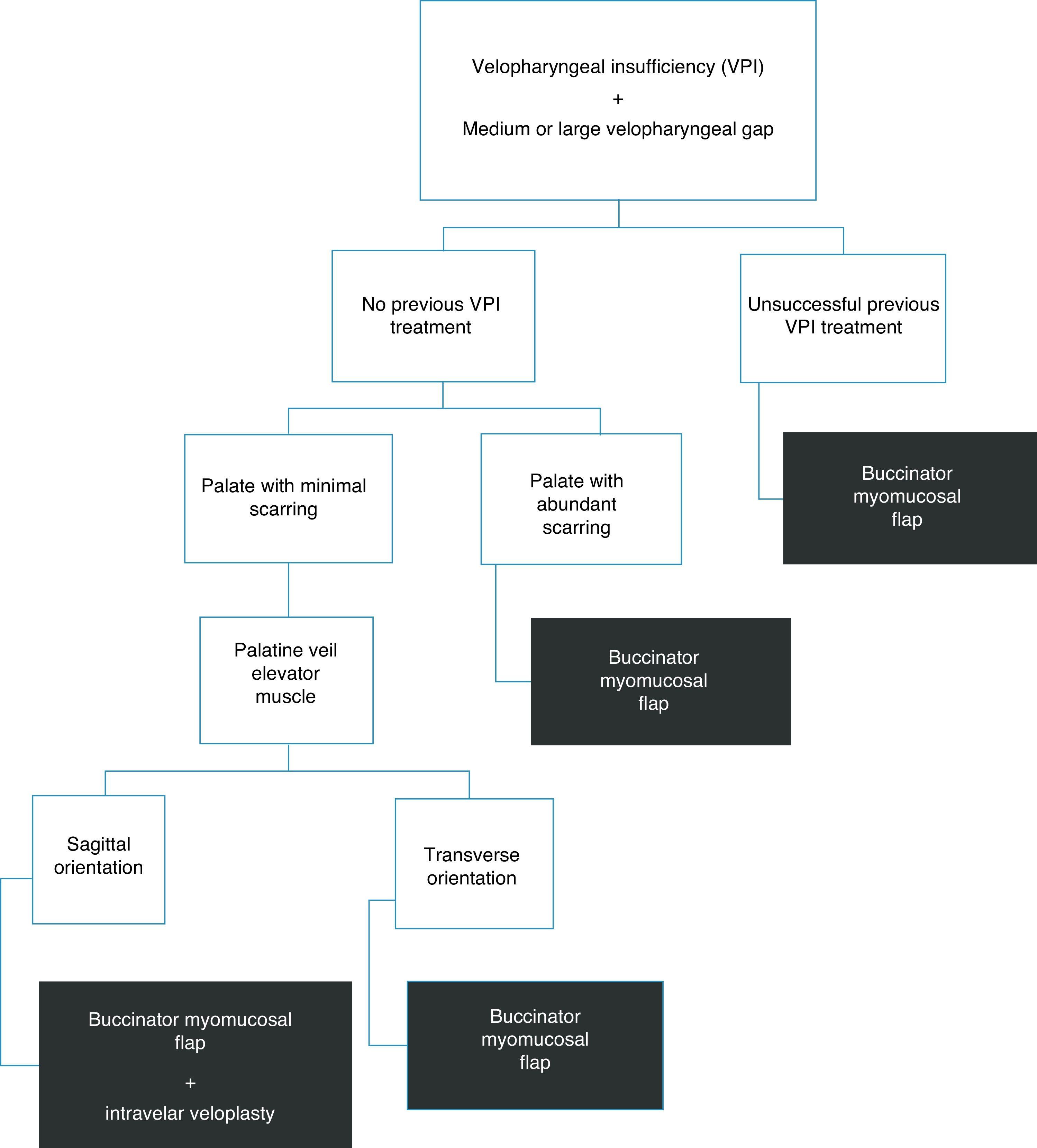 Velopharyngeal Insufficiency