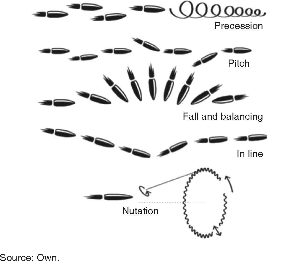 Gunshot caused facial wound. Literature review and clinical study of ...