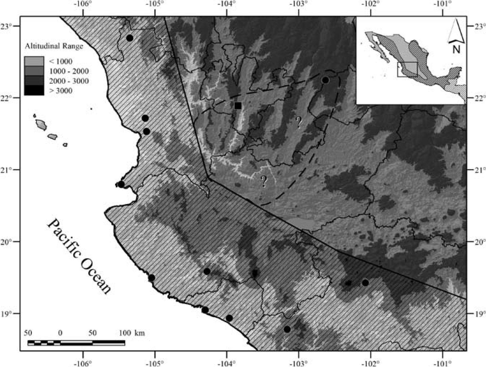 Presence of the ocelot (Leopardus pardalis) in northern Jalisco, Mexico ...