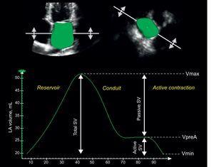 Left Atrium as a Dynamic Three-Dimensional Entity: Implications for ...