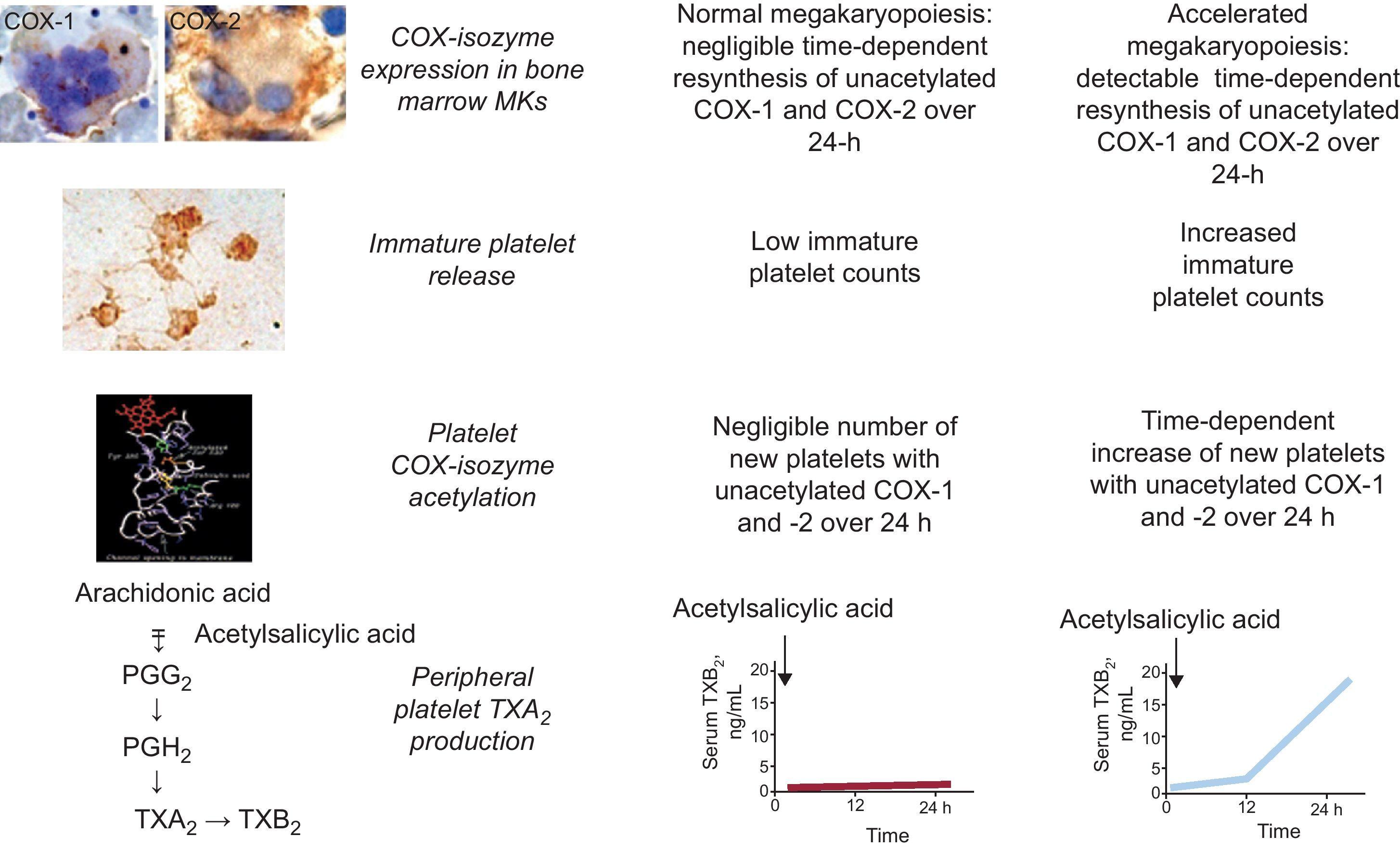 Aspirin Continues to Attract Research and Debate, 115 Years After Its ...