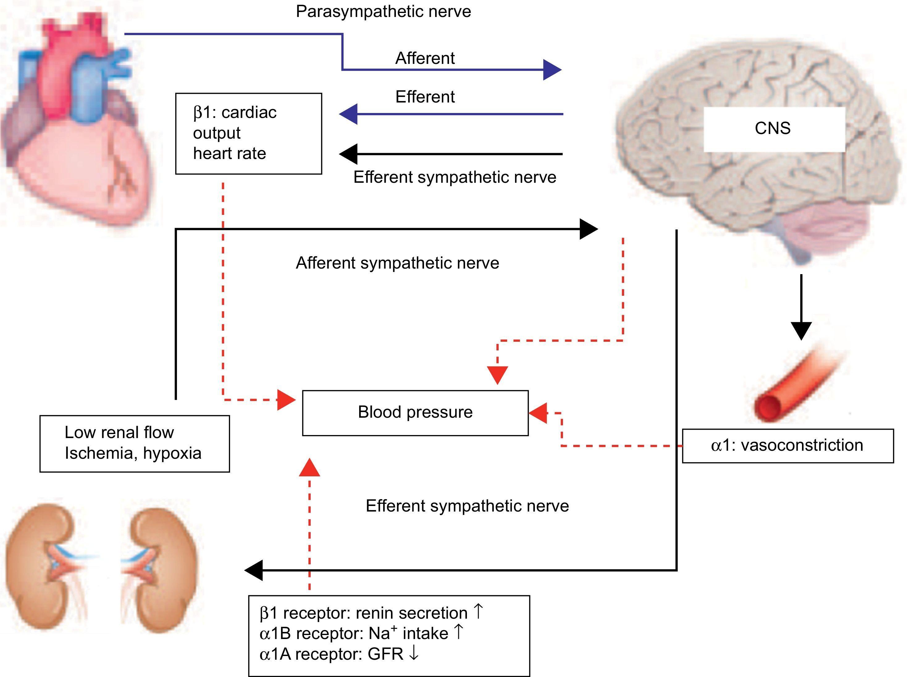 New Treatment for Old Disease: Management of Resistant Hypertension by ...