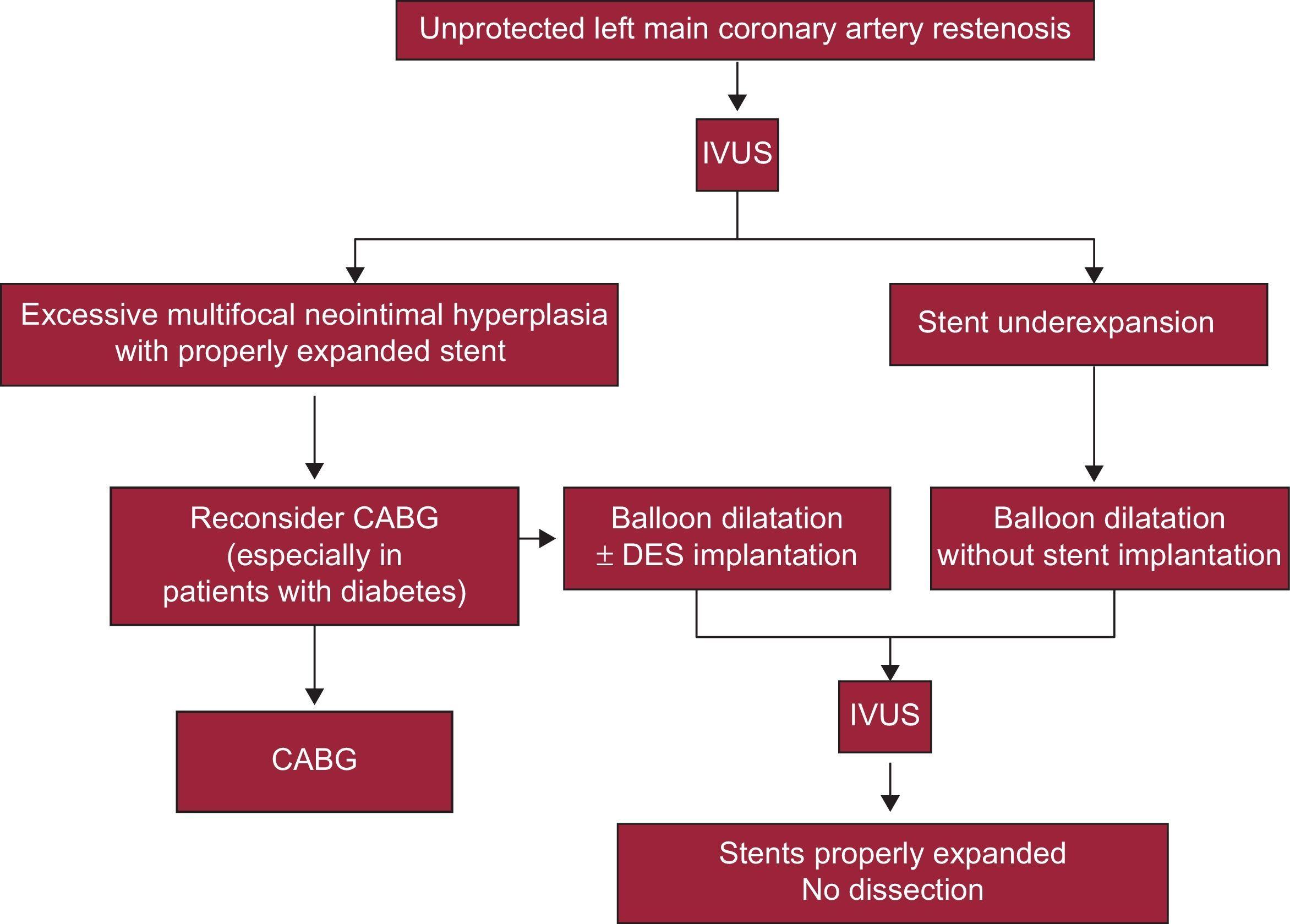 Update on Interventional Cardiology 2013 | Revista Española de Cardiología