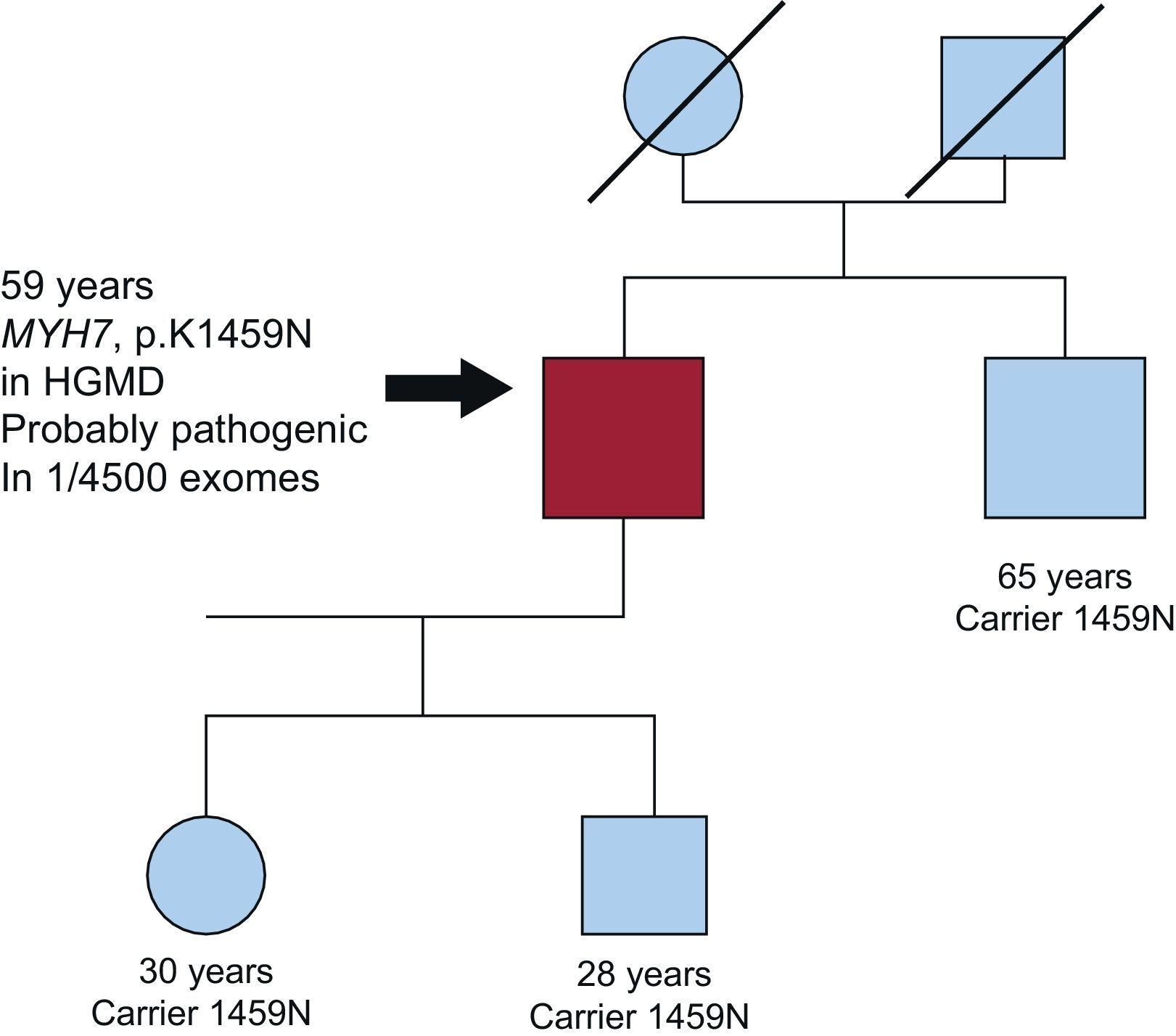 The Ups and Downs of Genetic Diagnosis of Hypertrophic Cardiomyopathy ...