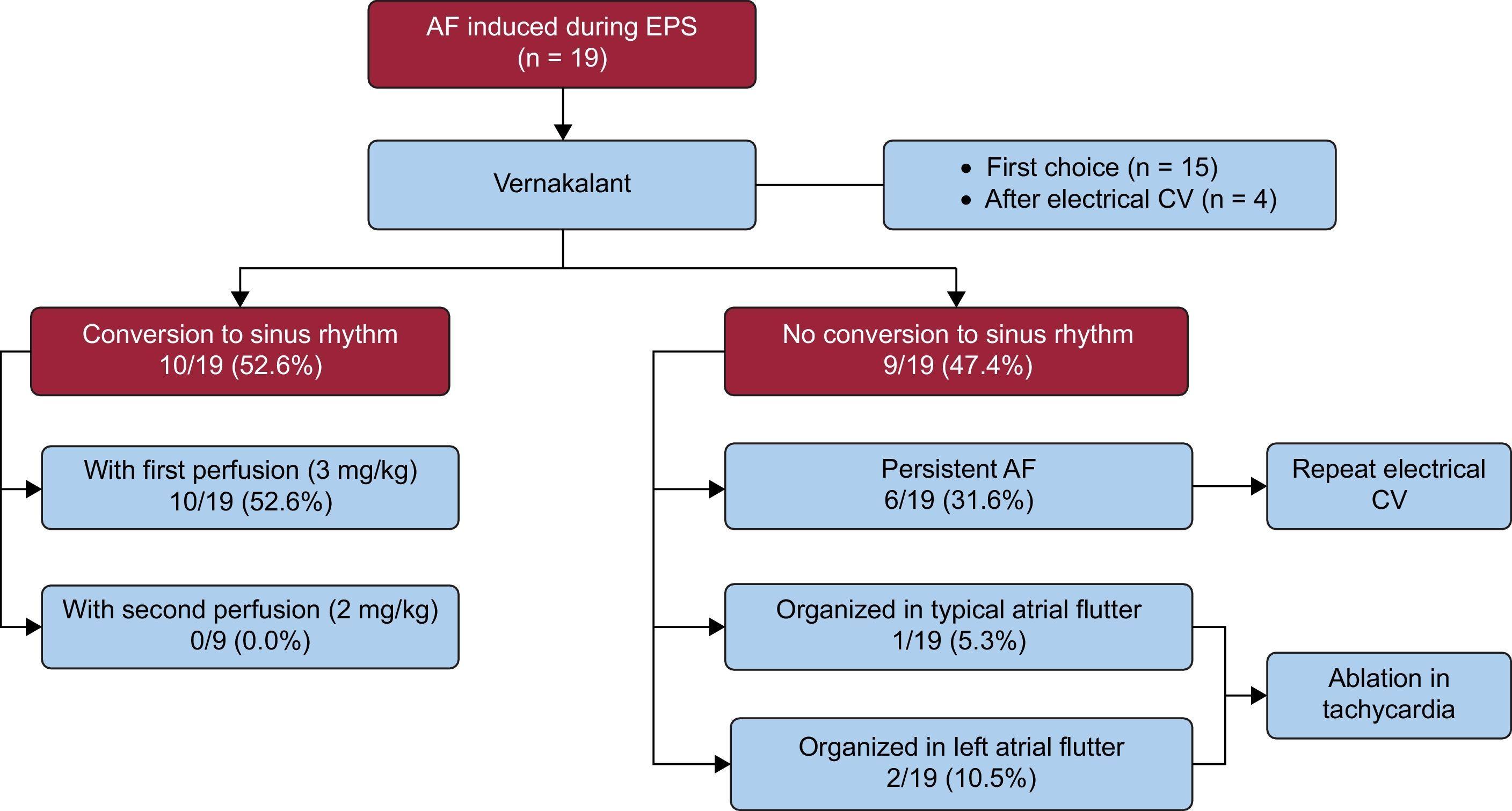 The Usefulness of Vernakalant in Maintaining Sinus Rhythm During ...