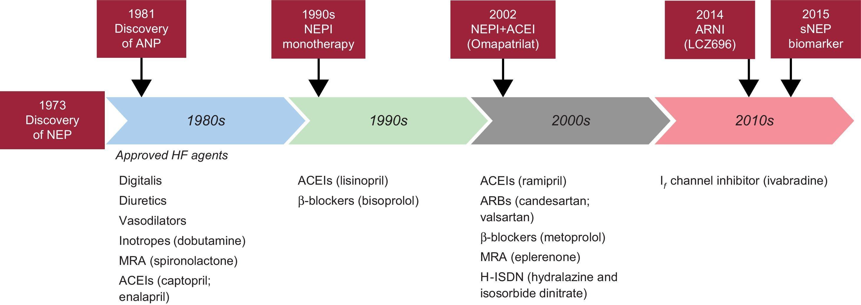 Neprilysin: Indications, Expectations, and Challenges | Revista ...