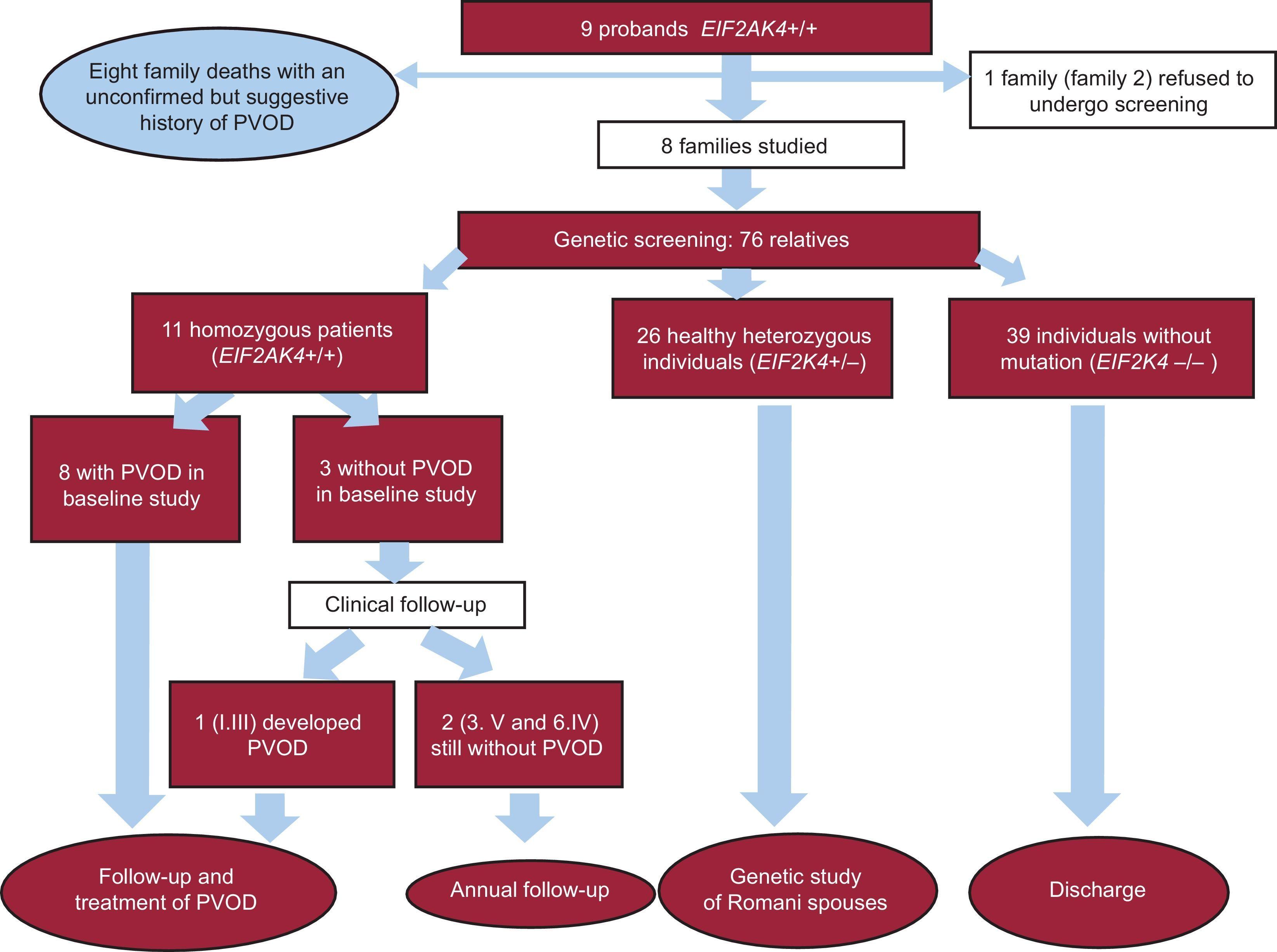 Variable Expressivity of a Founder Mutation in the EIF2AK4 Gene in ...