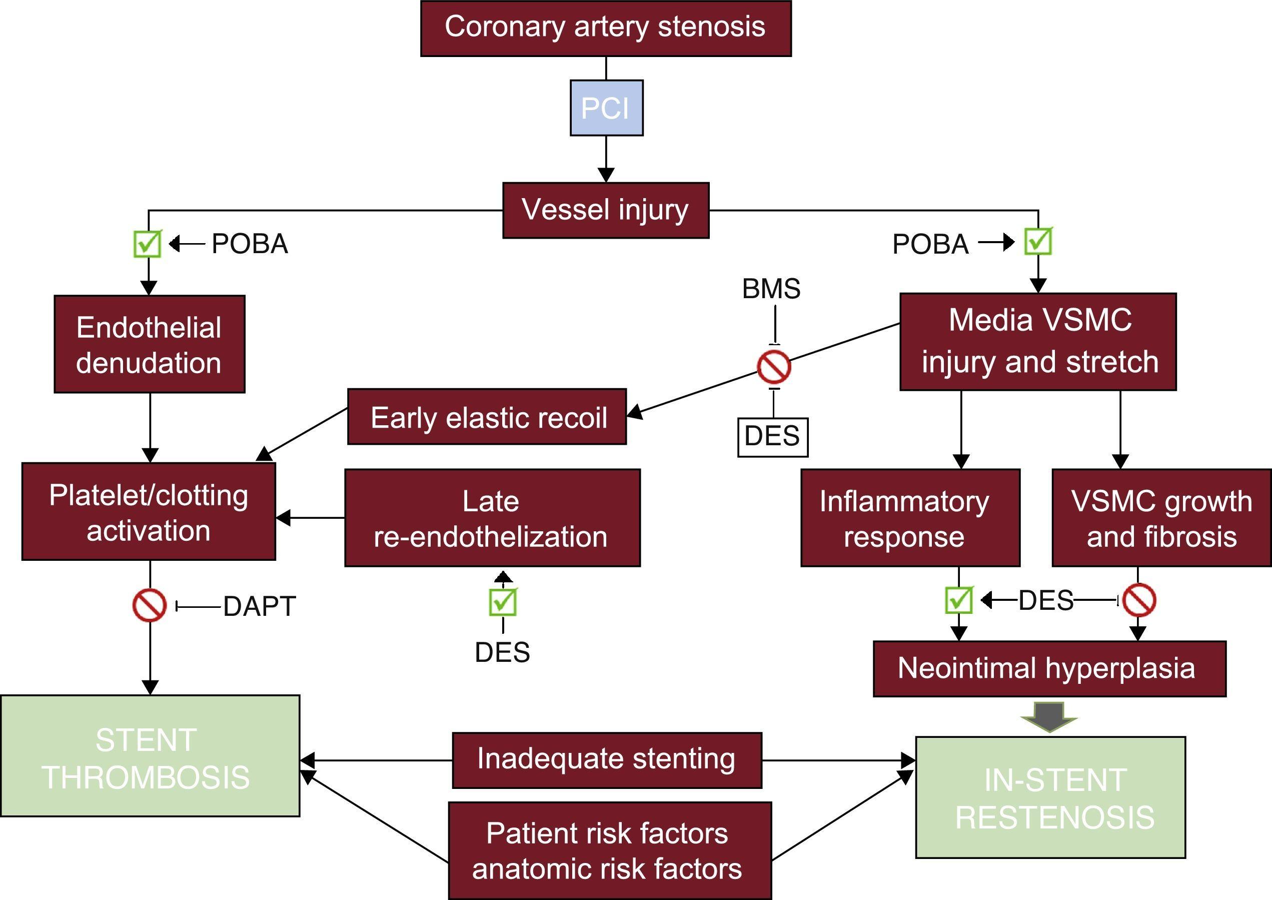 A Brief History of Coronary Artery Stents | Revista Española de Cardiología