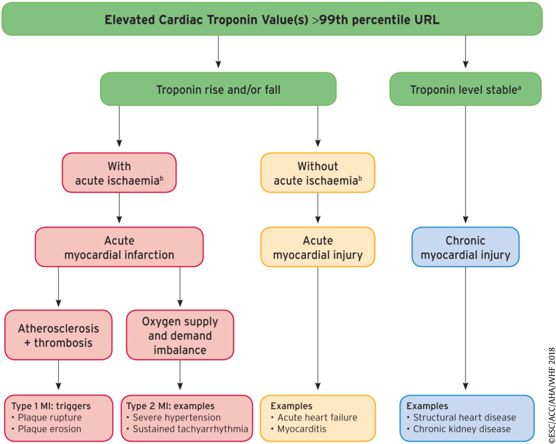 Comments on the 2018 ESC Fourth Universal Definition of Myocardial ...