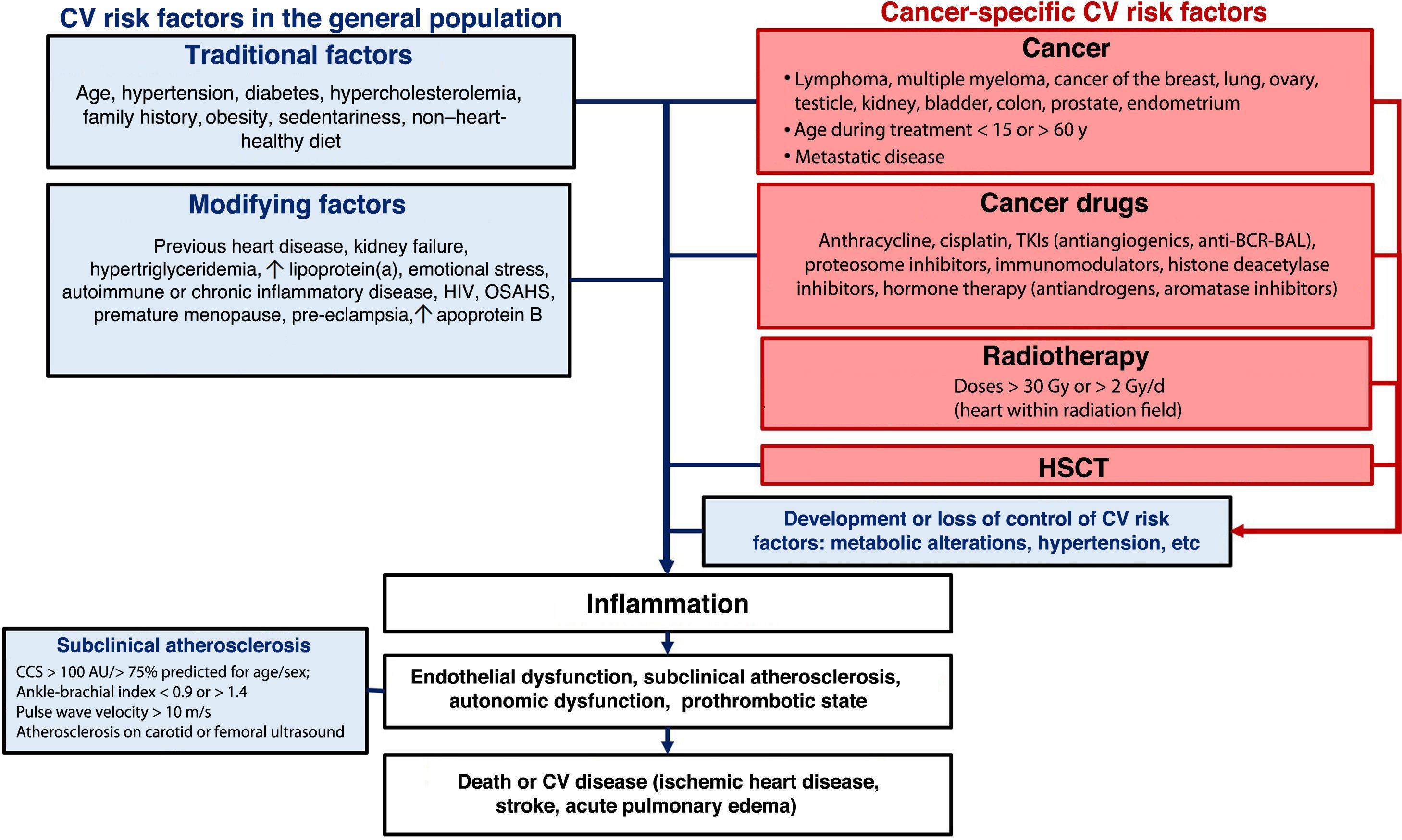 Stratification and management of cardiovascular risk in cancer patients ...
