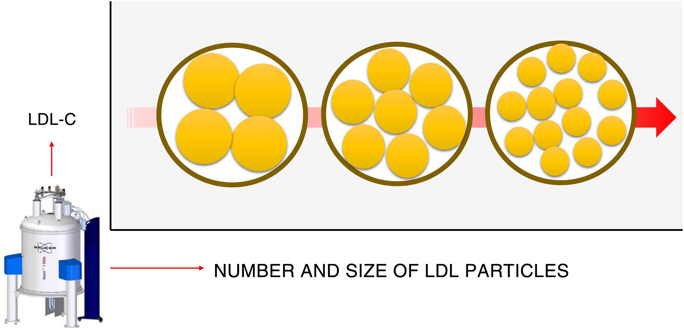 Magnetic resonance-assessed lipoprotein profile. The time has come for ...