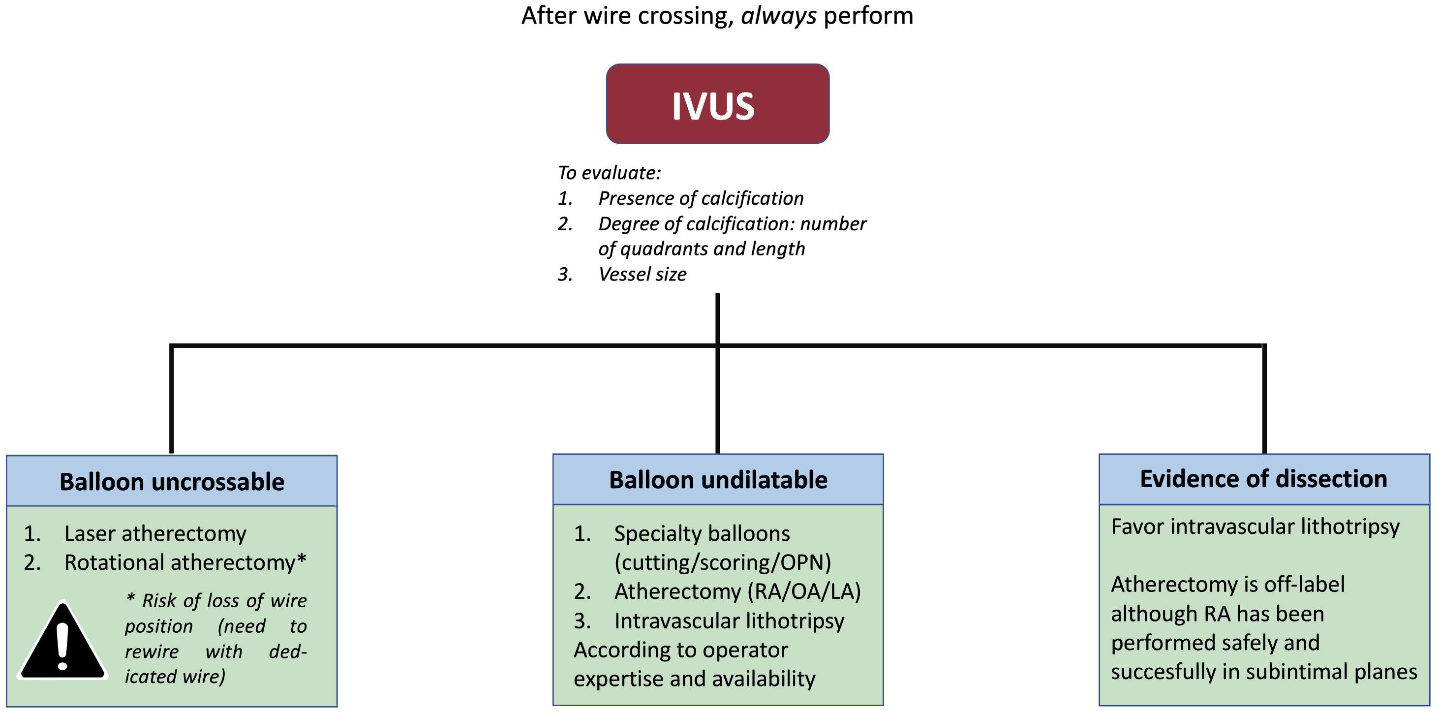 The calcium pandemic and use of plaque modification devices in chronic total occlusion ...