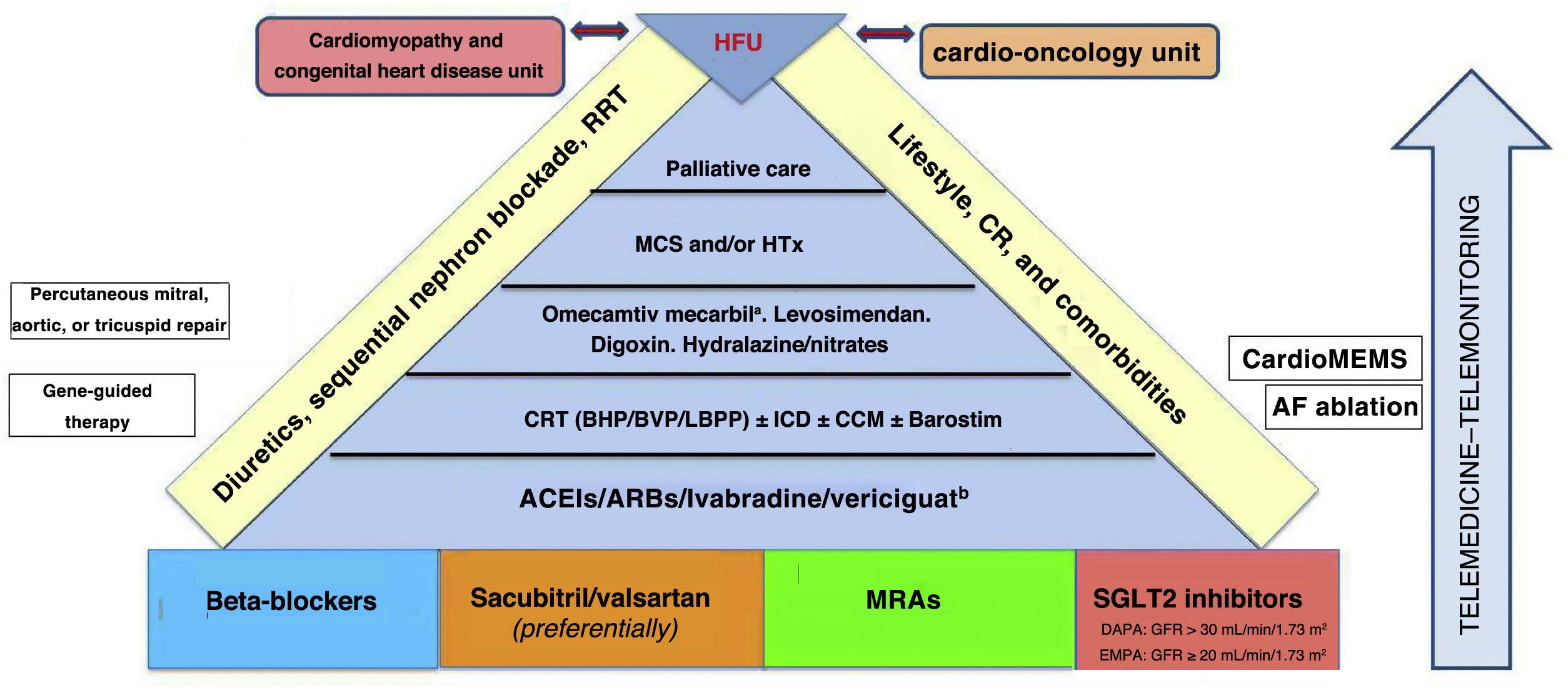 New 2021 ESC/HFA heart failure guidelines. A practical comprehensive ...