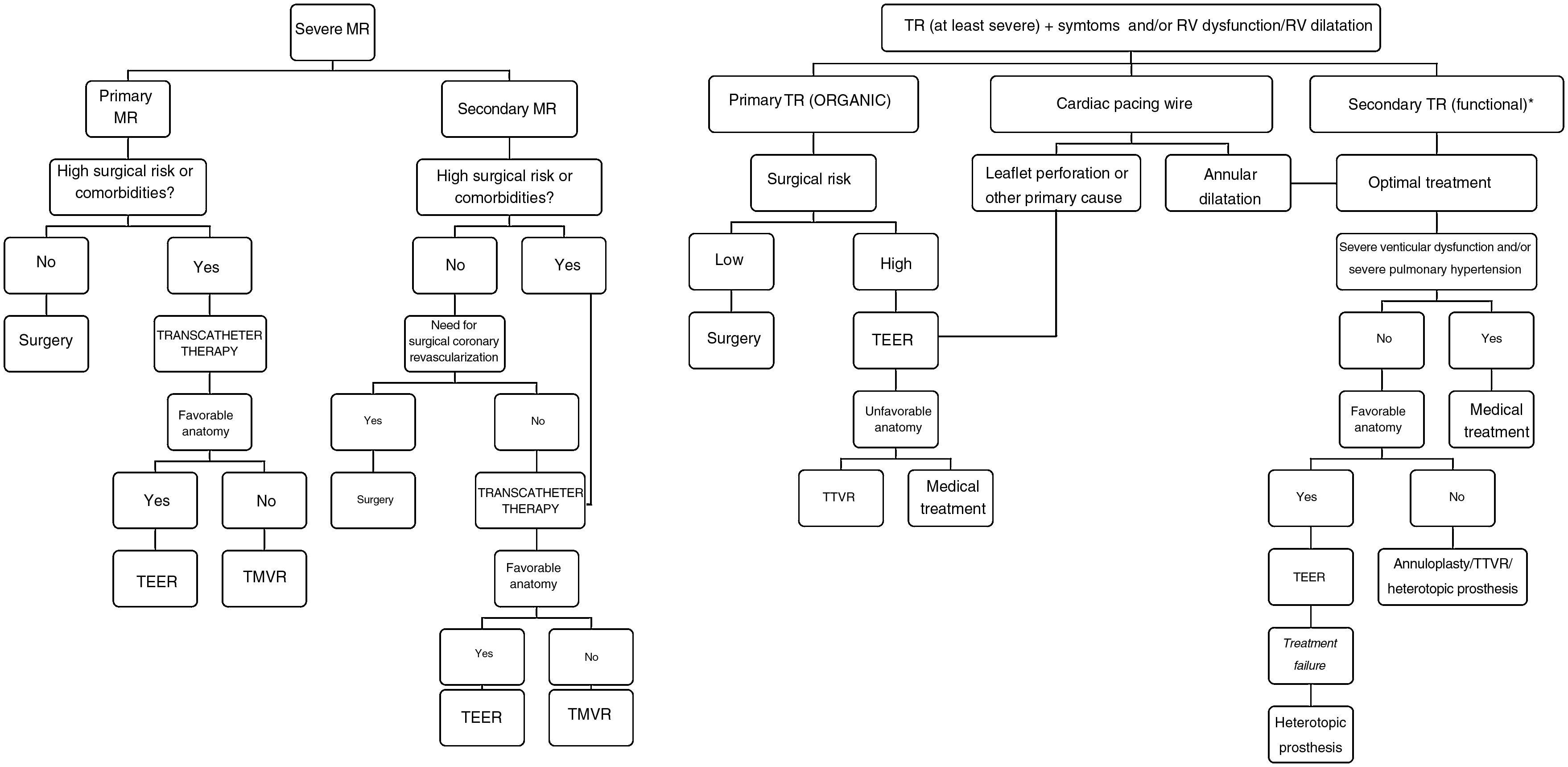 Mitral and tricuspid valve disease: diagnosis and management. Consensus ...