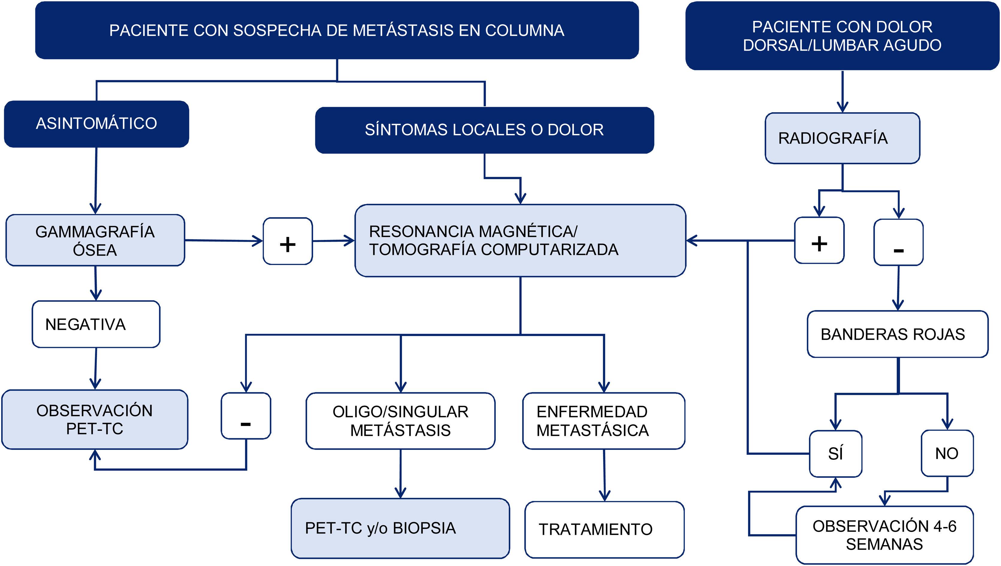 Diagnóstico por imagen de las metástasis vertebrales | Revista Española ...