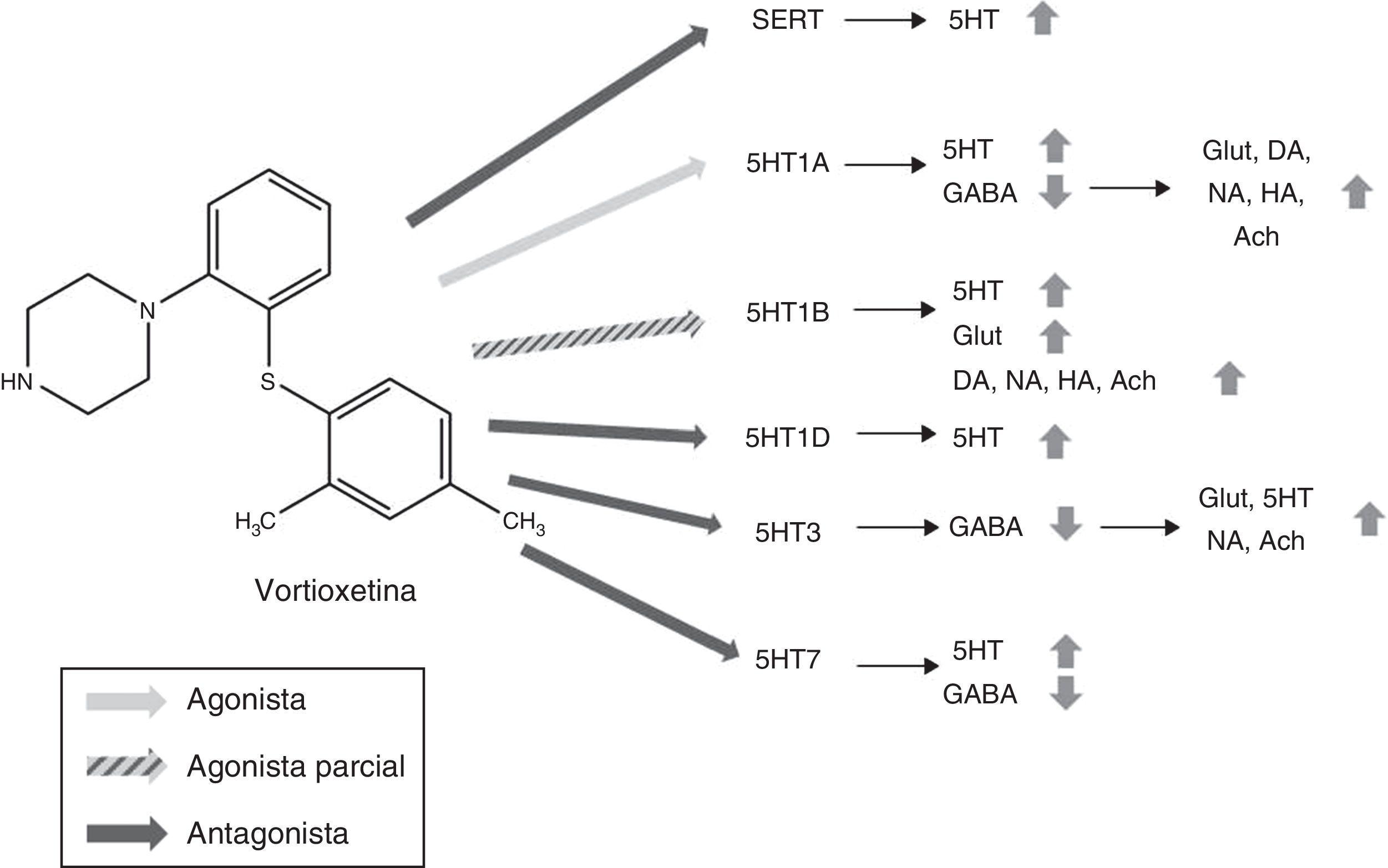 Vortioxetina: una nueva alternativa en el trastorno depresivo mayor ...